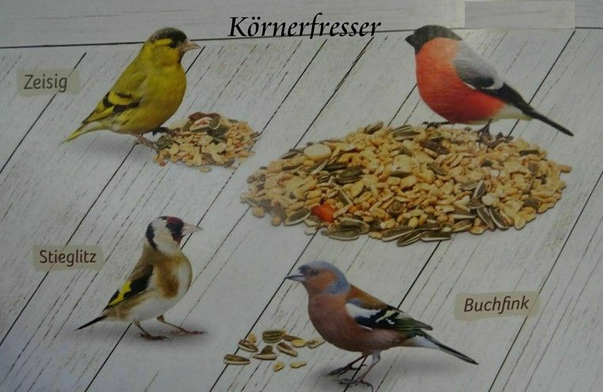 Was geben wir für ein Futter ? - Lutherstadt Wittenberg