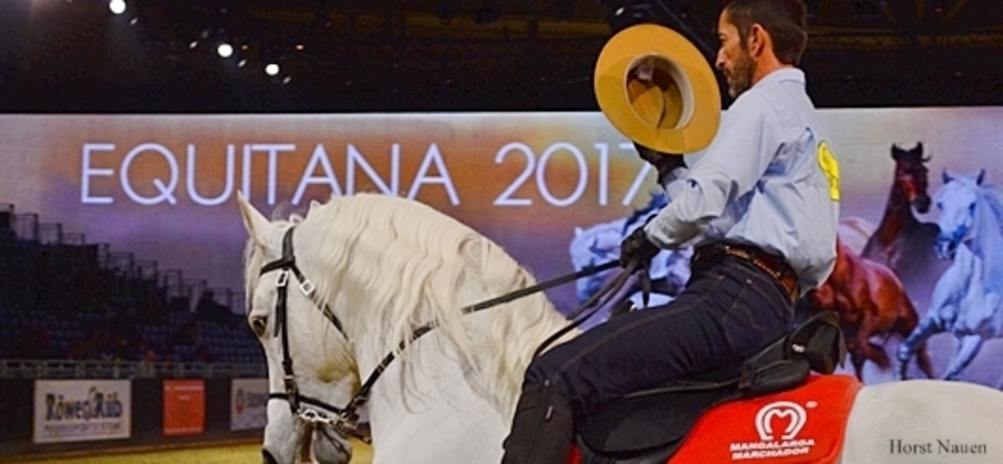 EQUITANA 2022: Weltgrößte Pferdesport-Messe startet in Essen - Solingen