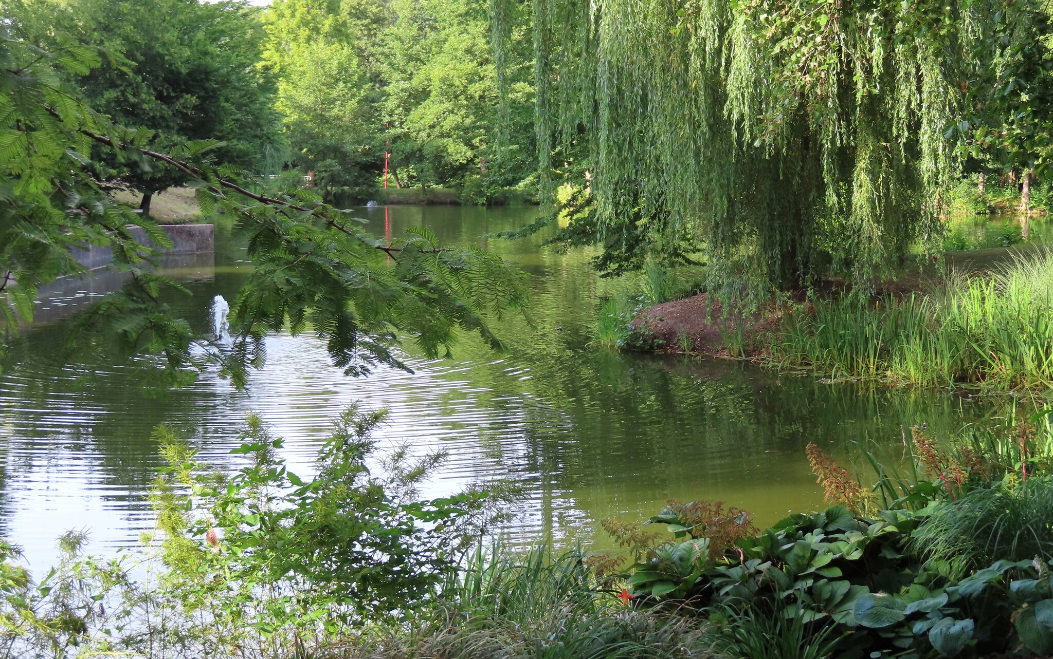 Nachmittagsspaziergang im Schlosspark - Bochum