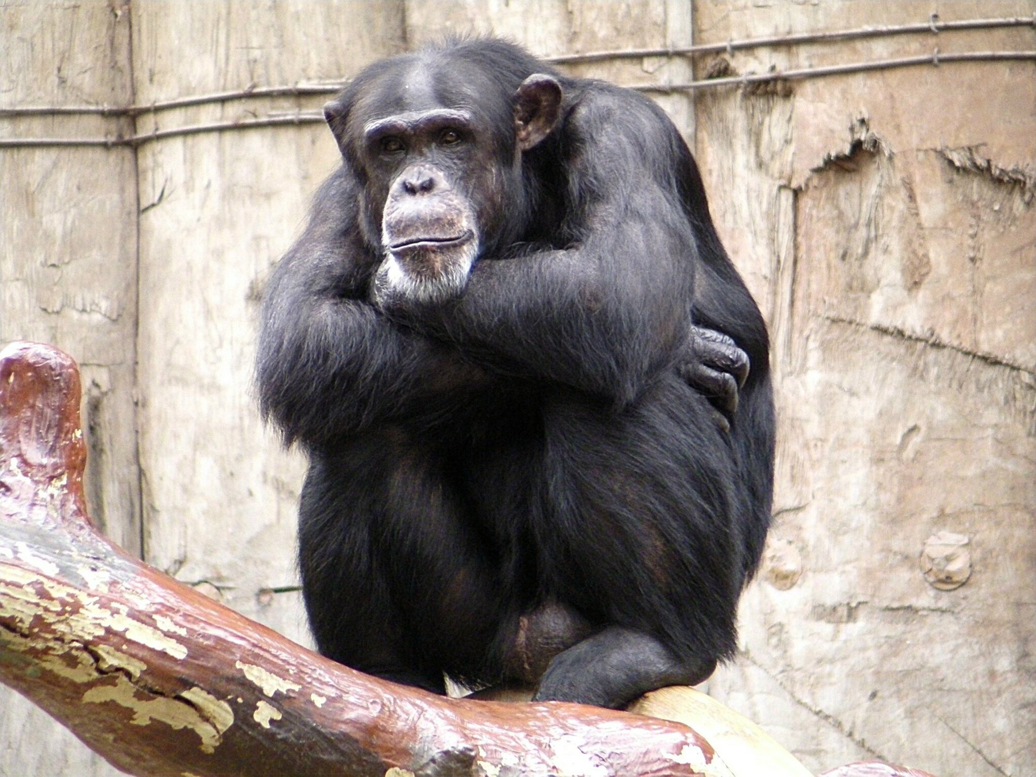 Zukunft: Nach der Generation "Doof" kam die letzte Generation und dann ...