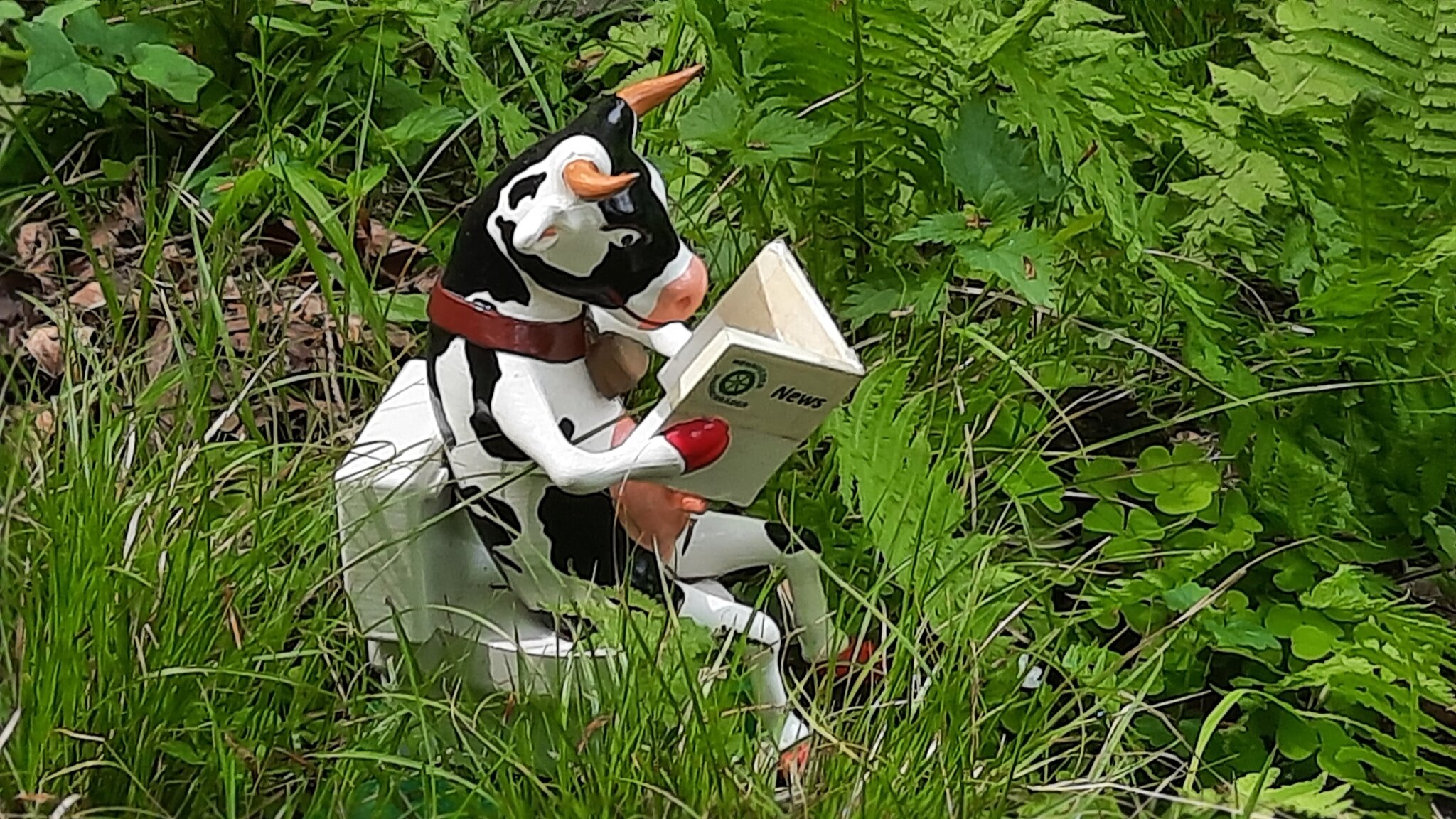 Wo??? Preisrätsel: "Oh, eine Kuh mit Buch!": Lesen bildet: "Und wenn Du ...