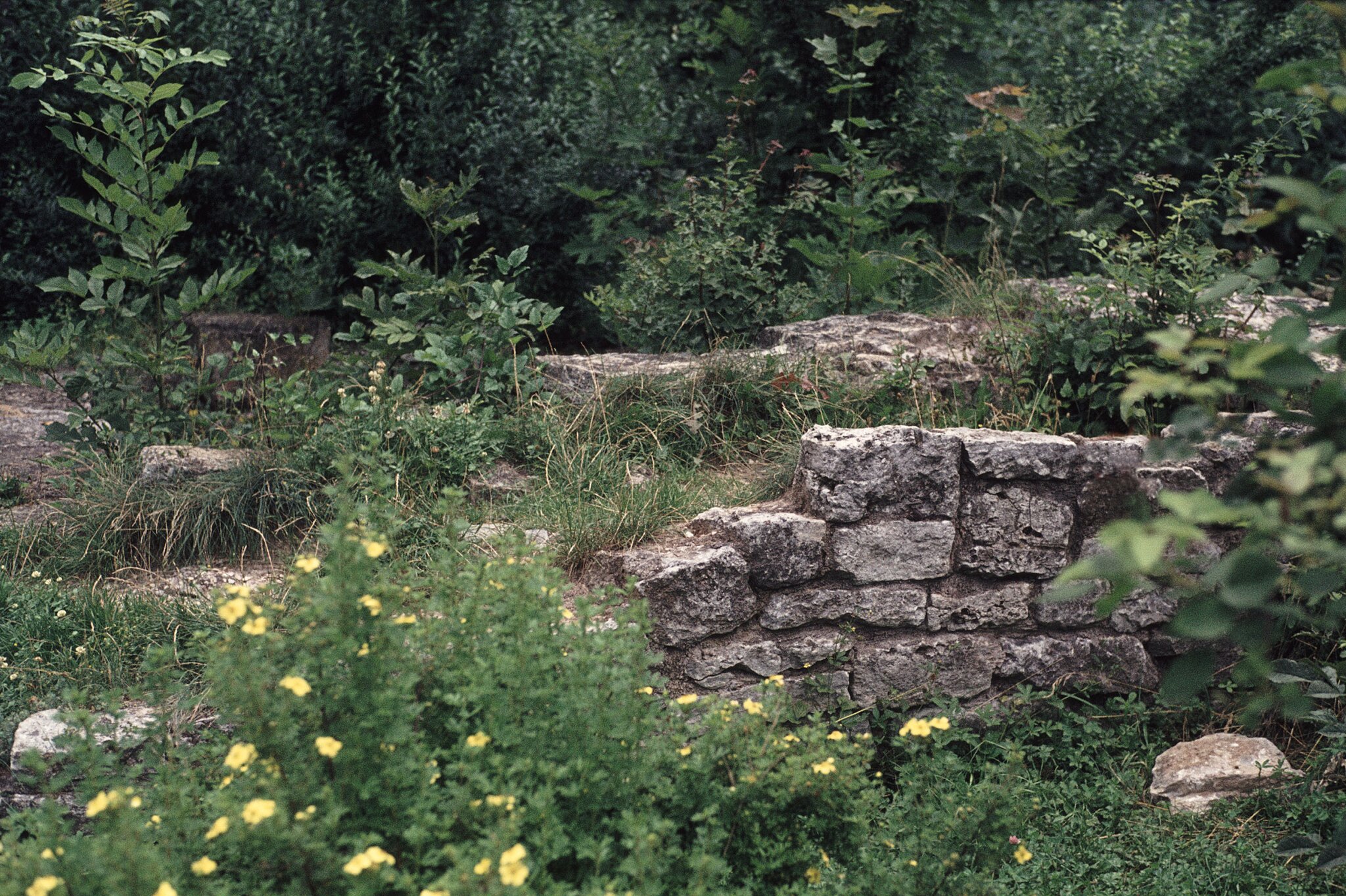 Burgen und Schlösser: Burgruine Engelburg