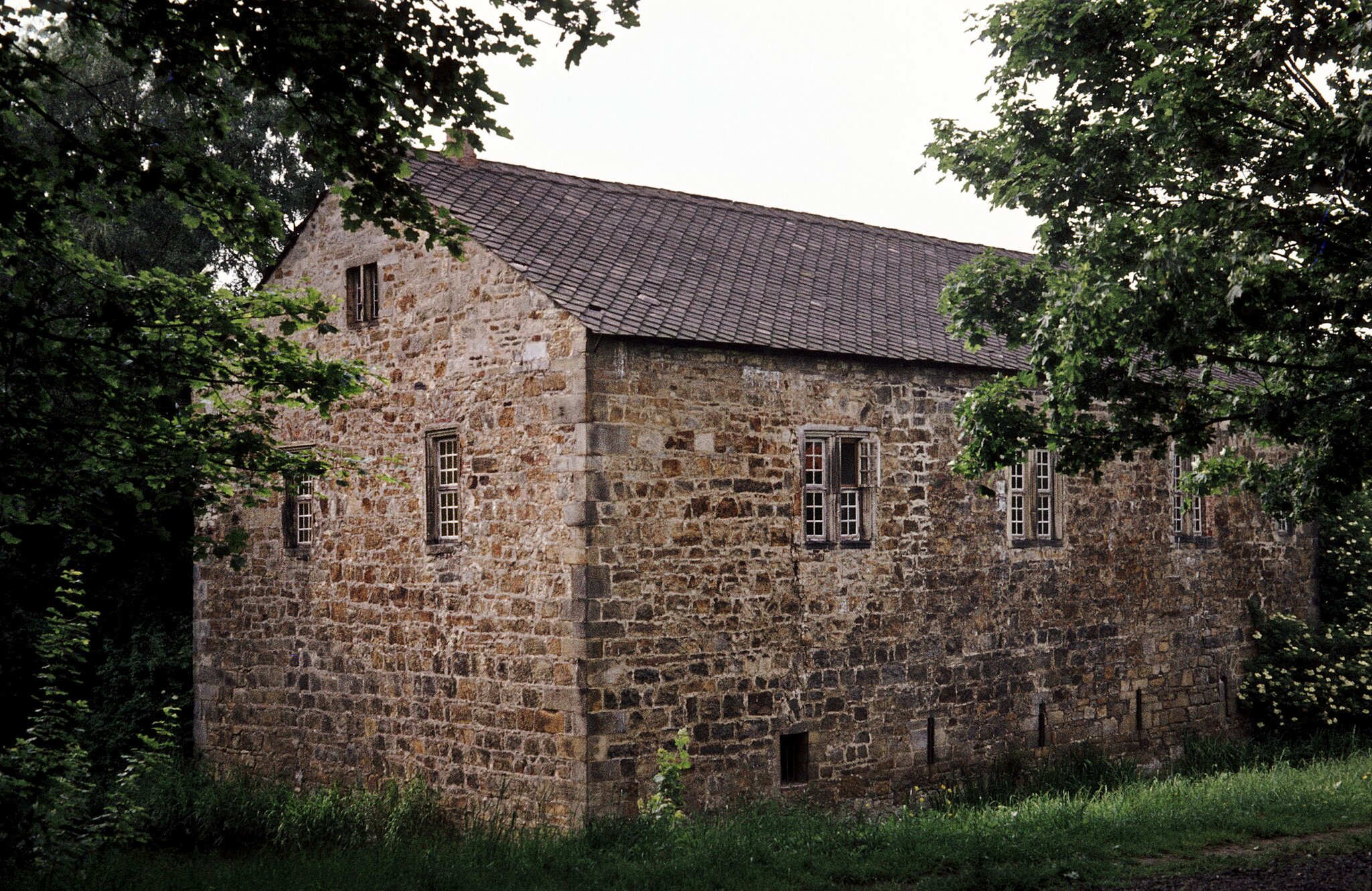 Burgen und Schlösser: Burg Rodenberg - Rodenberg