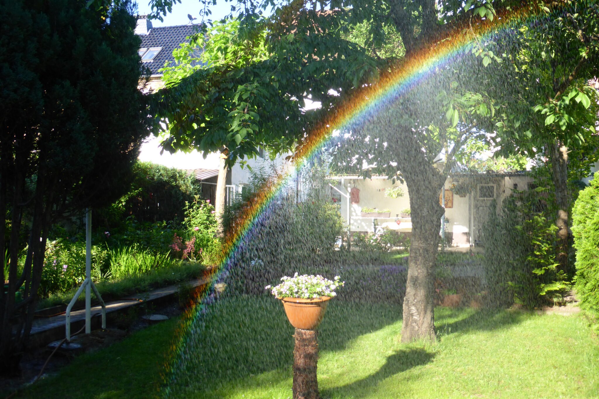 Regenbogen: Mein eigener Regenbogen im Garten - Lutherstadt Wittenberg