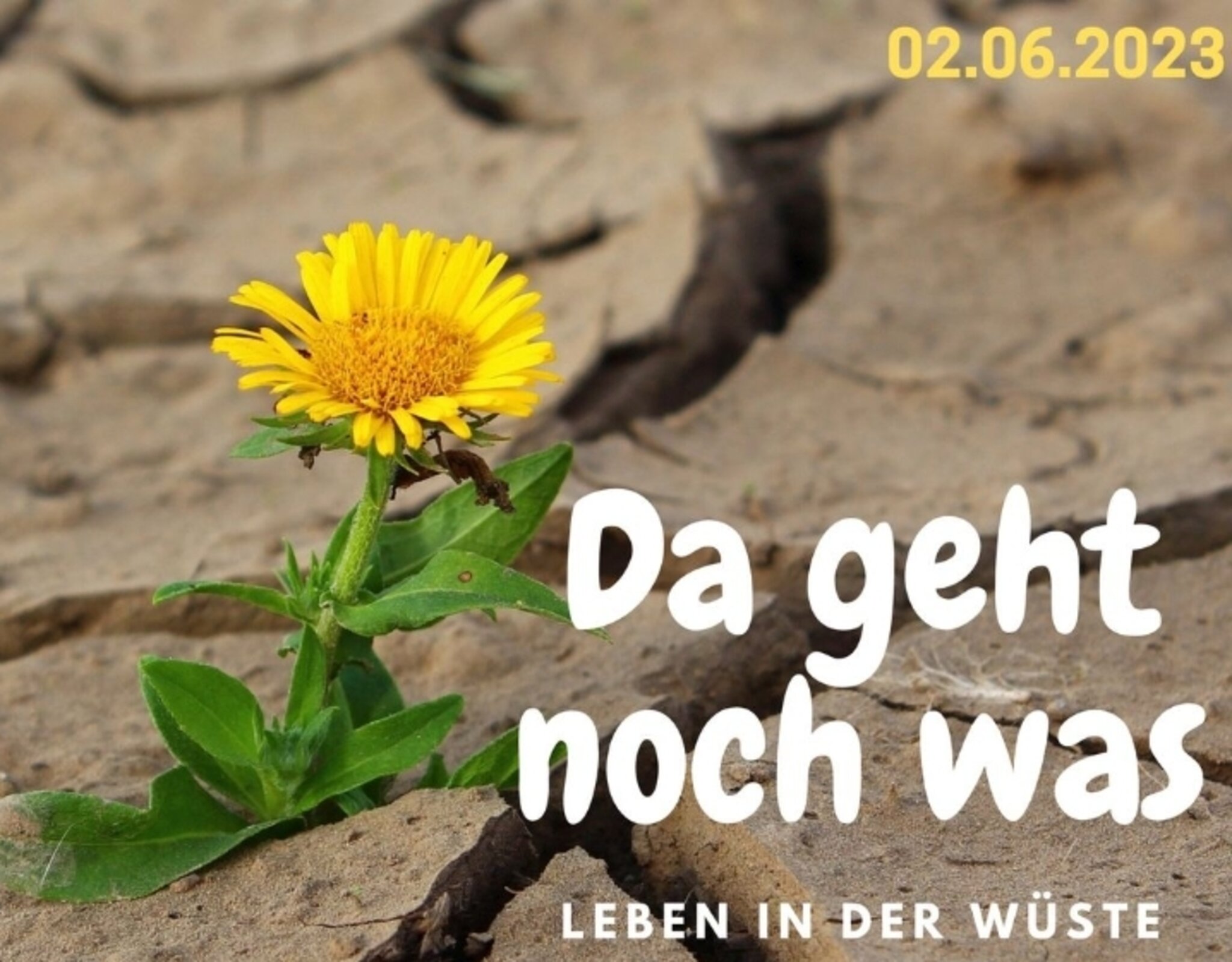 Am Ende ist noch was möglich: Da geht noch was: Wasser in der Wüste ...