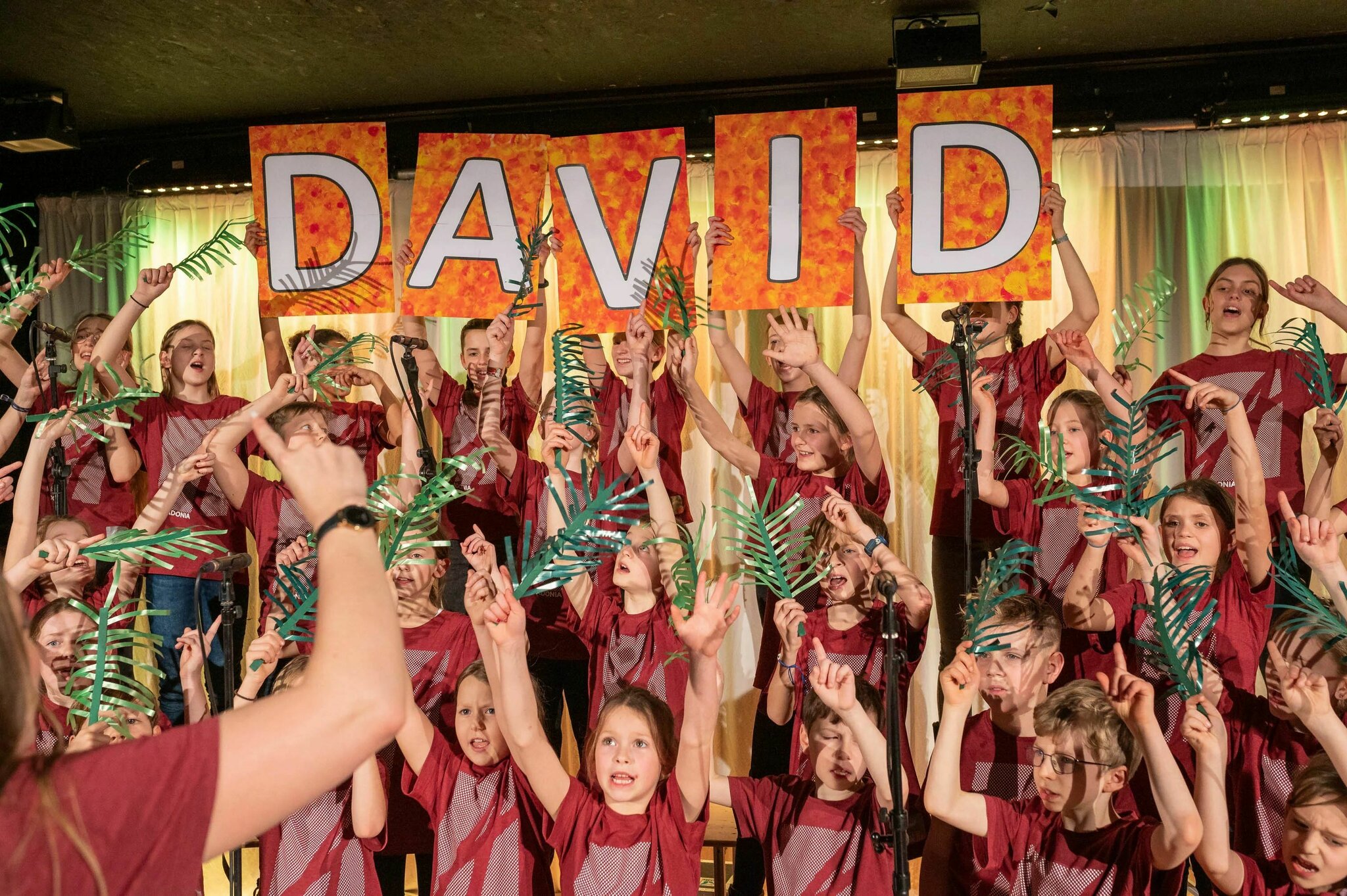 David in Schwülper: Ein König mit seinem Gefolge: 70 Kids groß auf der ...