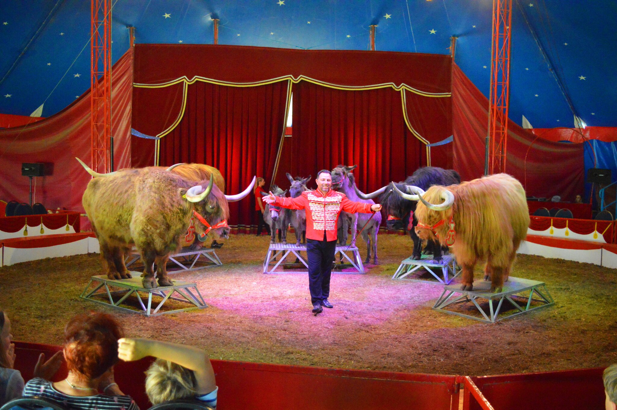 Deutschlands schönster Tiercircus: Rolina die Welt der Manege in ...