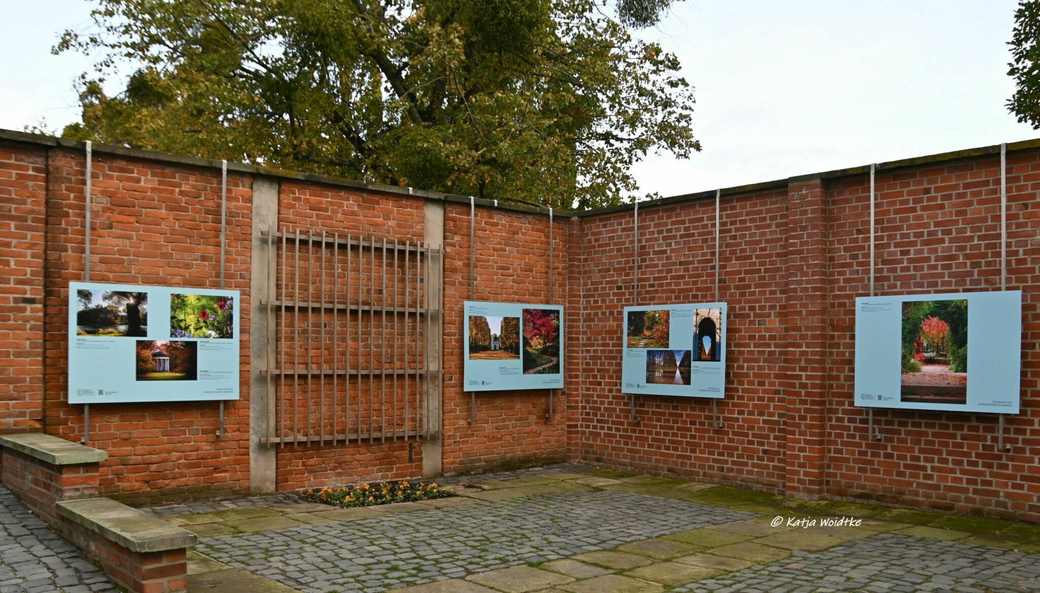 Fotoausstellung in Herrenhausen: Prämierte Gartenfotos aus aller Welt ...