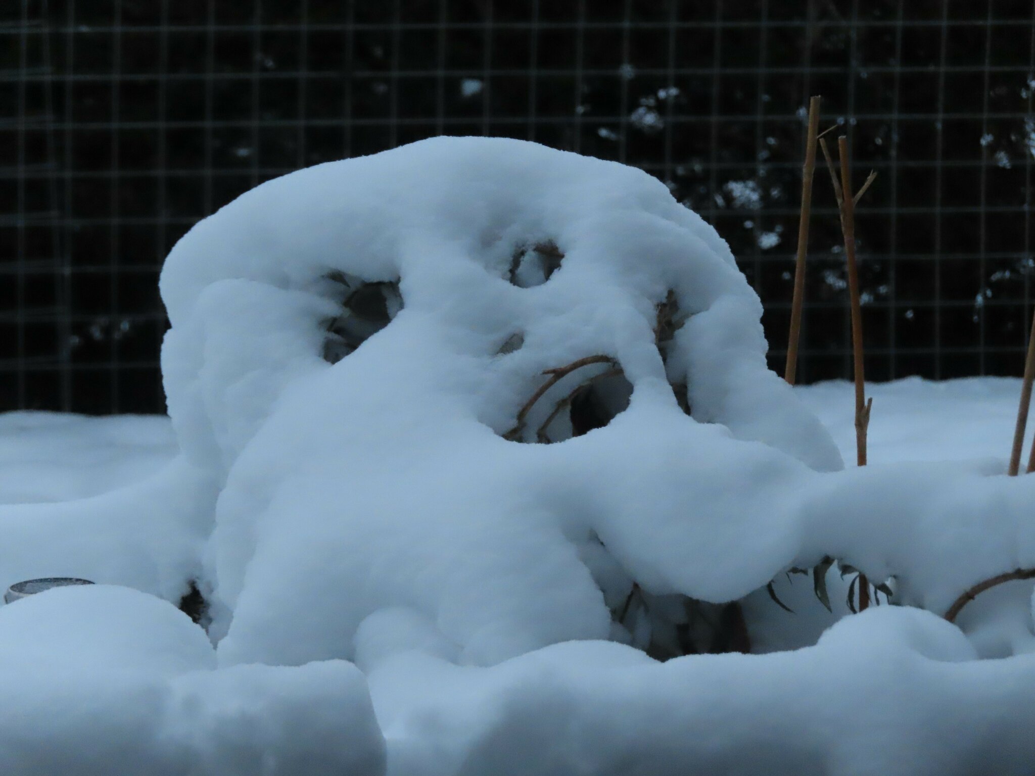 Schnee: Schnee-Gesicht und Mini-Schneemann - Korbach