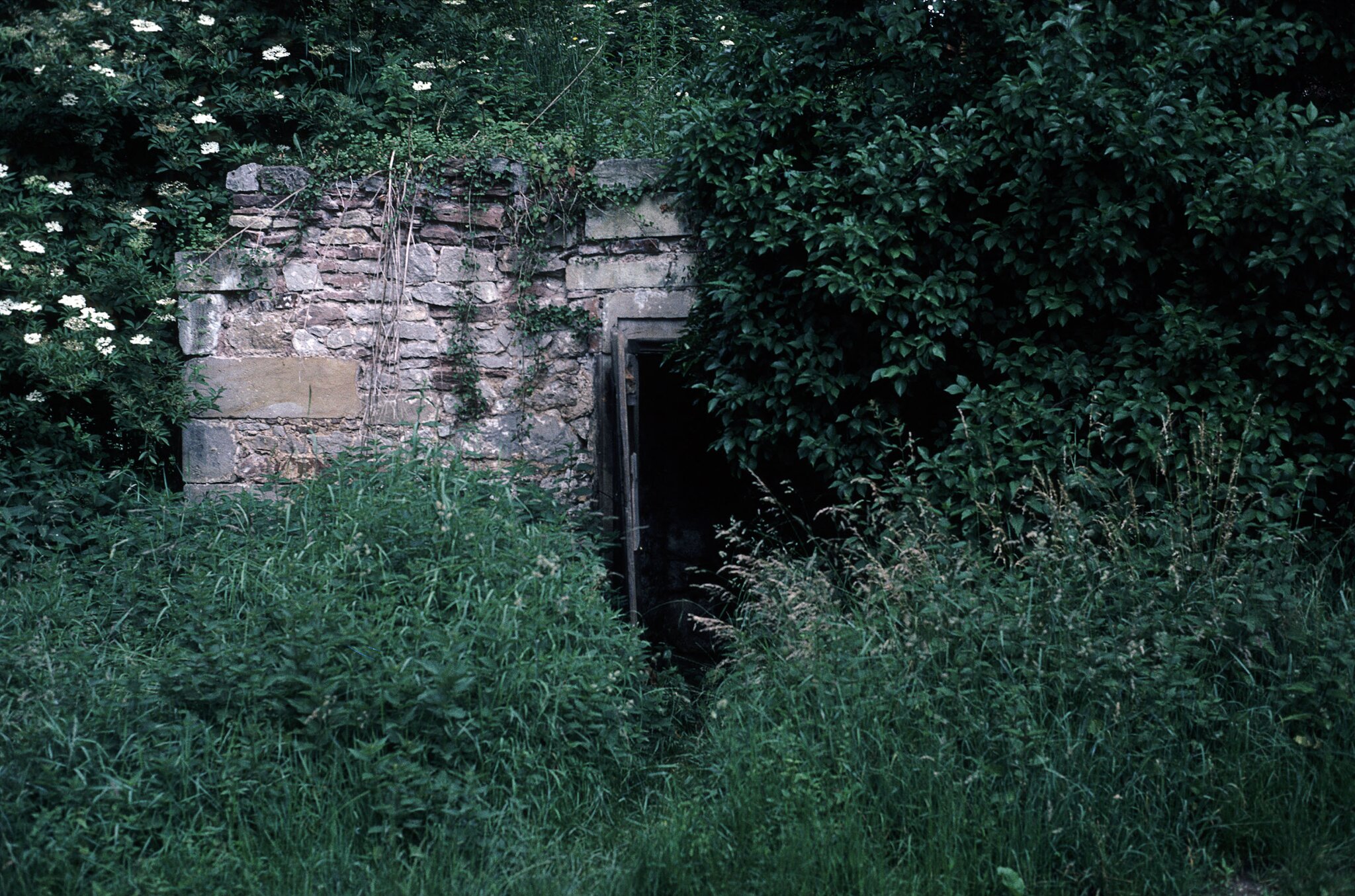 Burgen und Schlösser: Nur noch wenig ist von der einst starken Festung ...