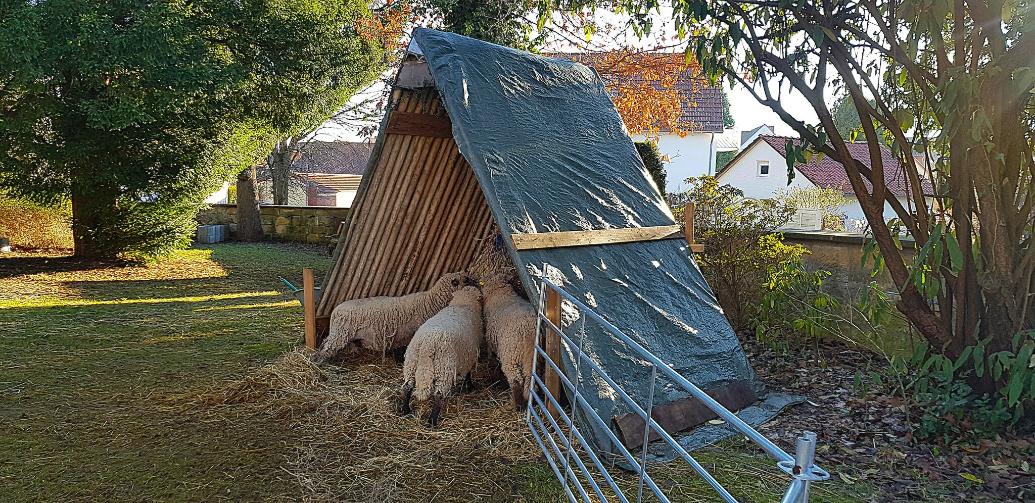 Heilige Nächte 2024/25: Erlebnisse und Begegnungen in der Jubiläums ...