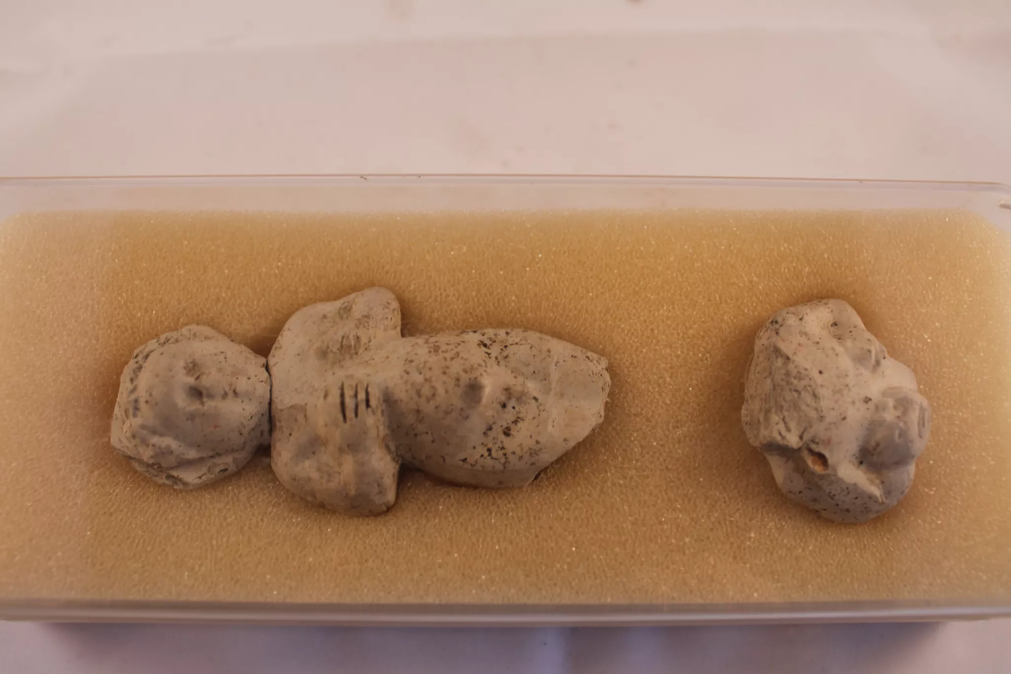 Funde zeugen vom Leben auf der Burg: Das leben auf Burg Hatzfeld ...