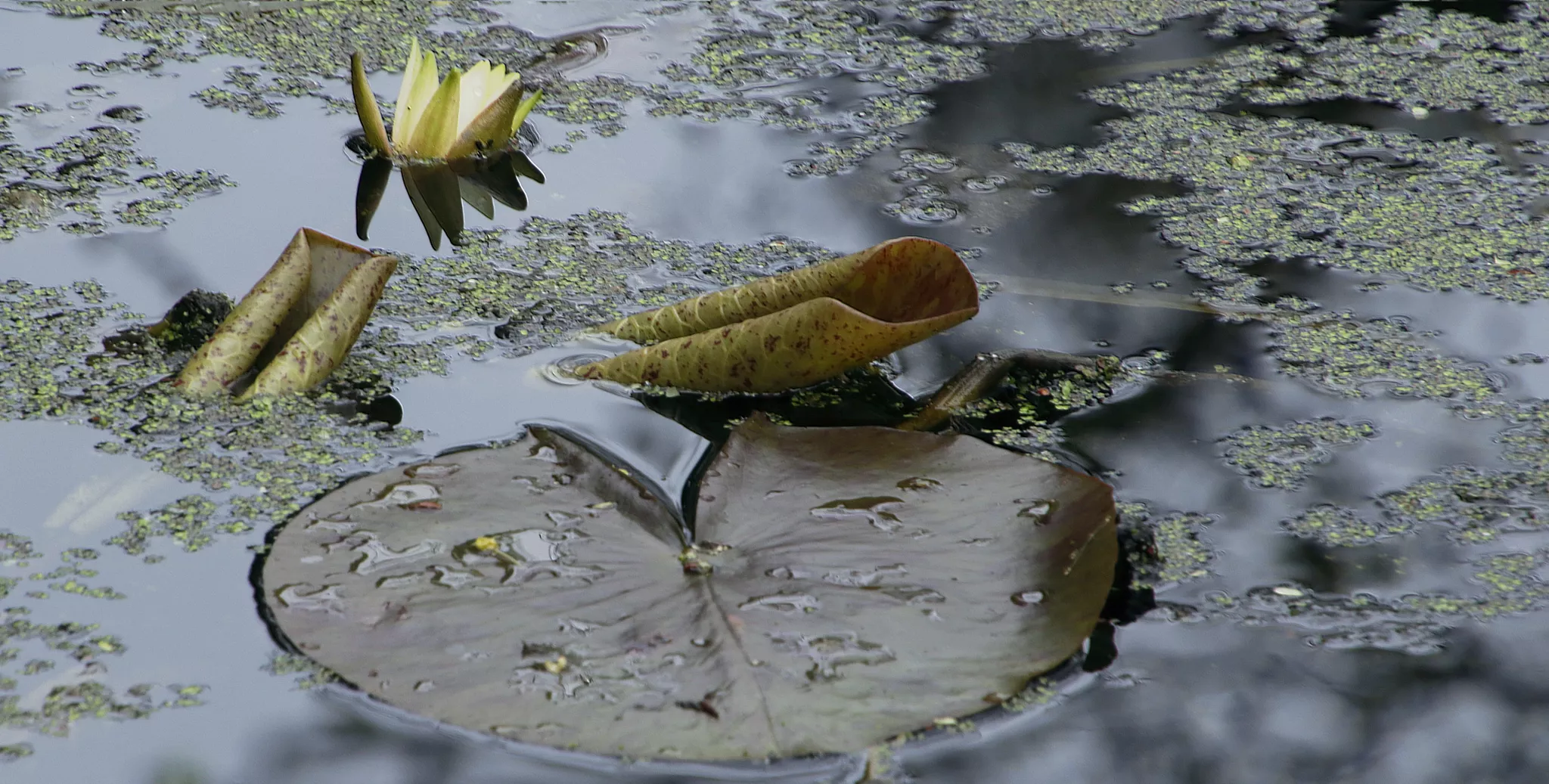 T r ä u m e r e i: Einfach nur mal dasitzen und aufs Wasser schauen ...