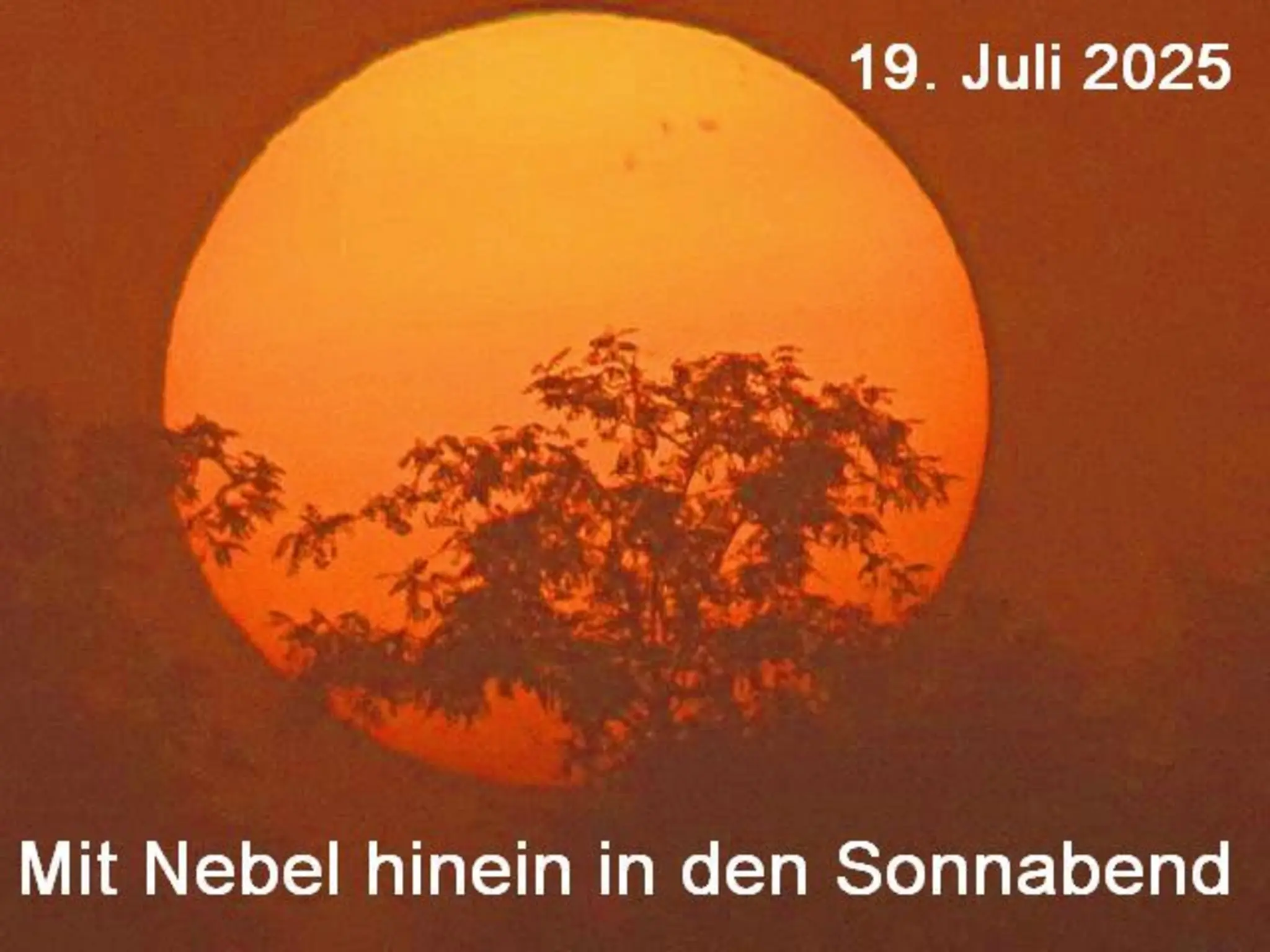 In der Früh: Mit Nebel in den Sonnabend / 17. Juli 2025 - Lutherstadt ...