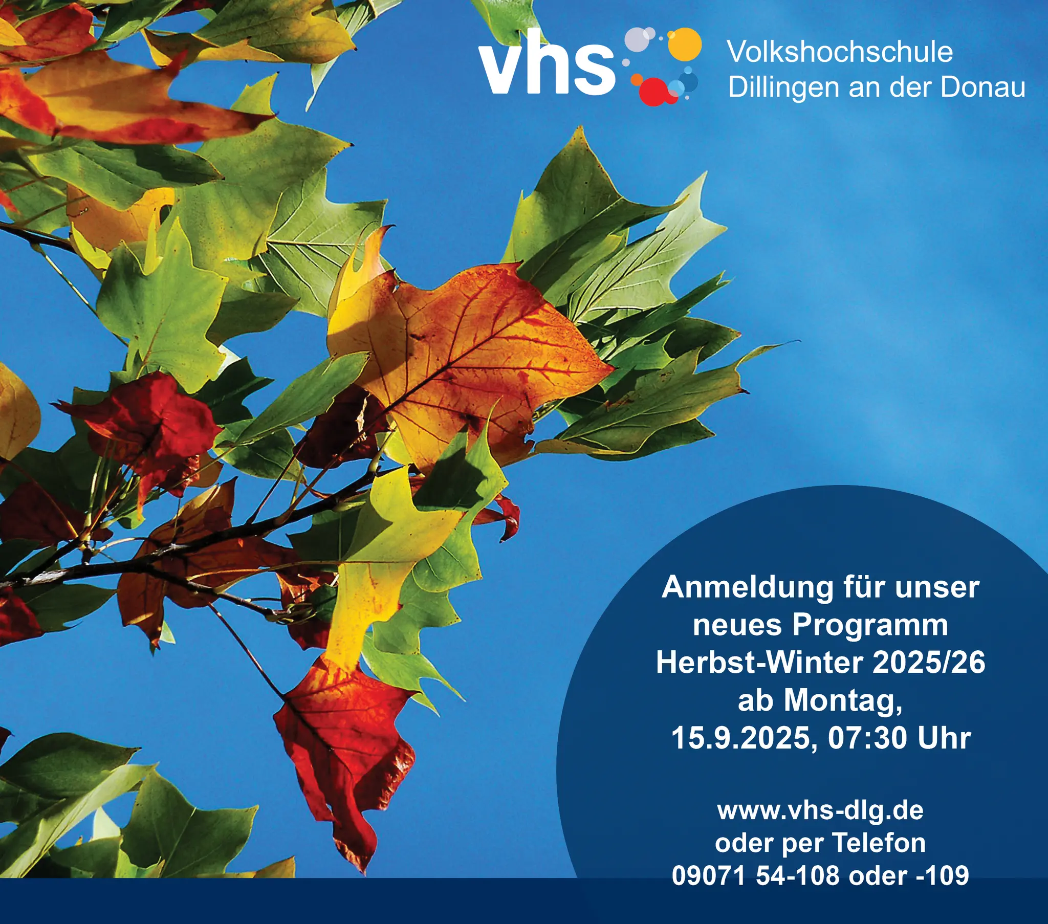 vhs Dillingen: vhs Dillingen stellt Herbst-Winter-Programm 2025/26 vor: „Kompetenzen für Morgen ...