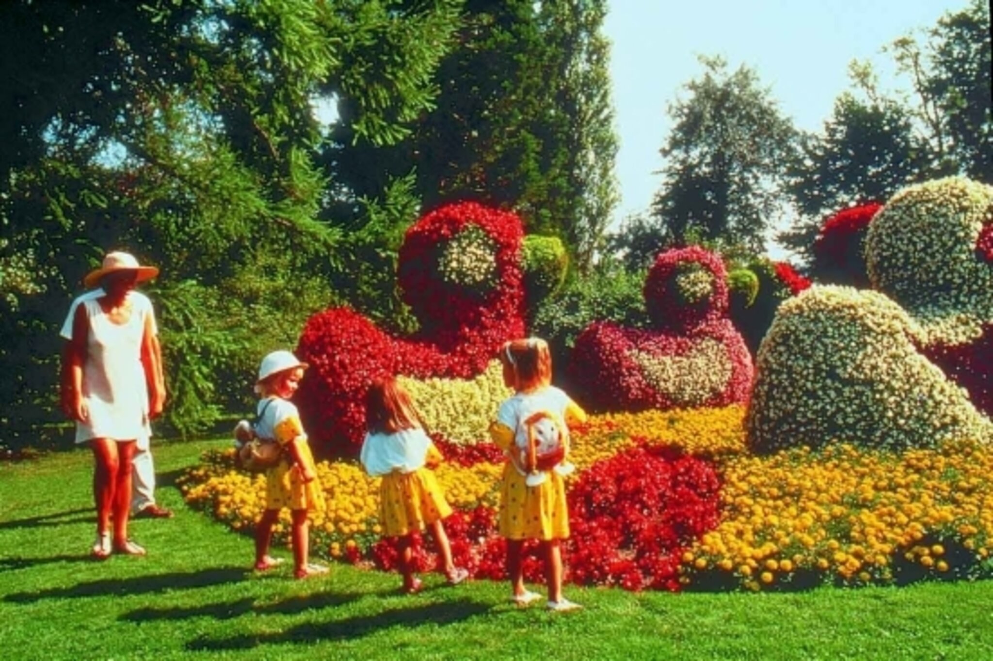 Tagesfahrt - Insel Mainau