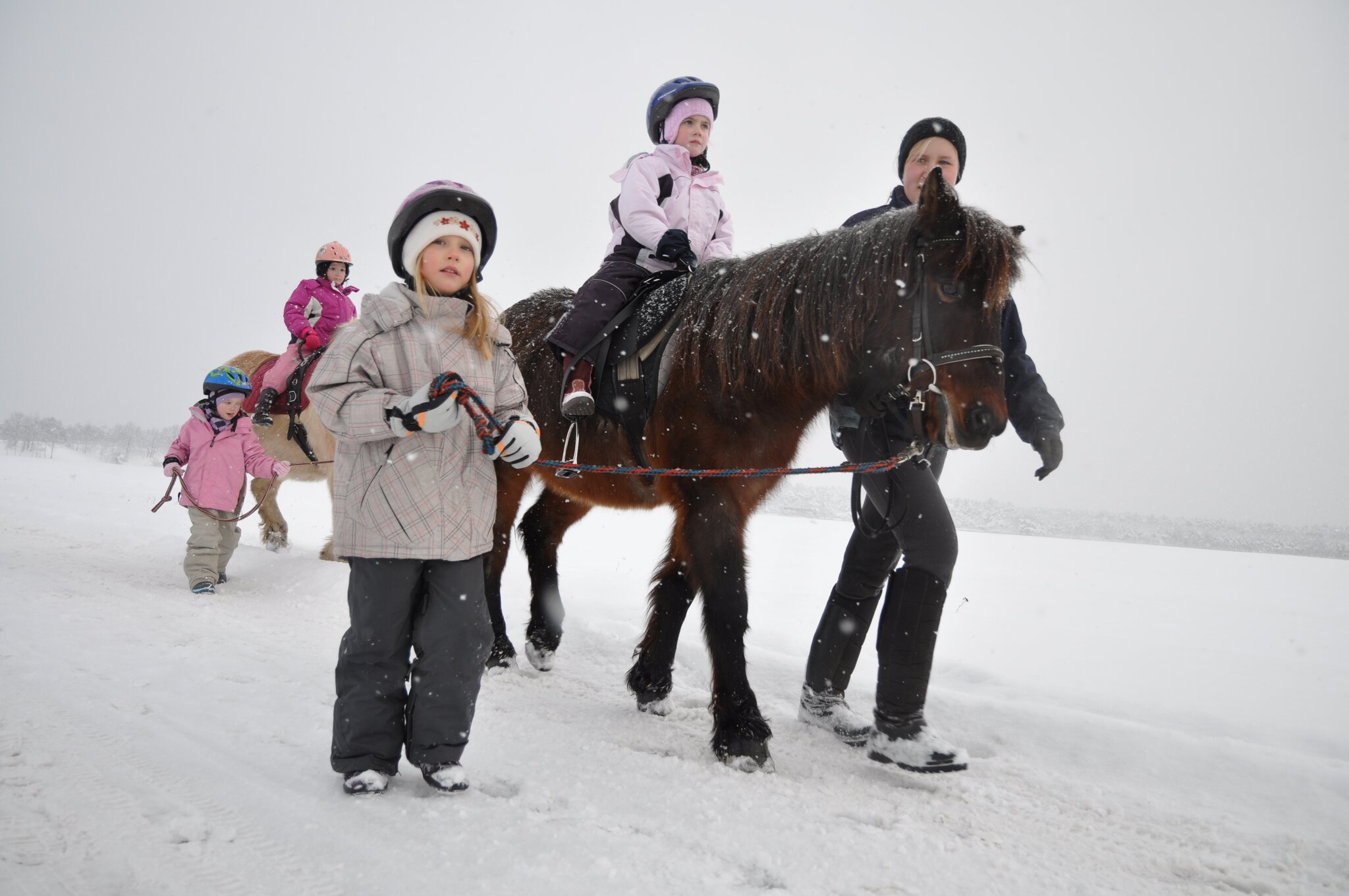 Reiten wie in Kanada - Mit den Ponys der Little-P-Ranch durch die ...