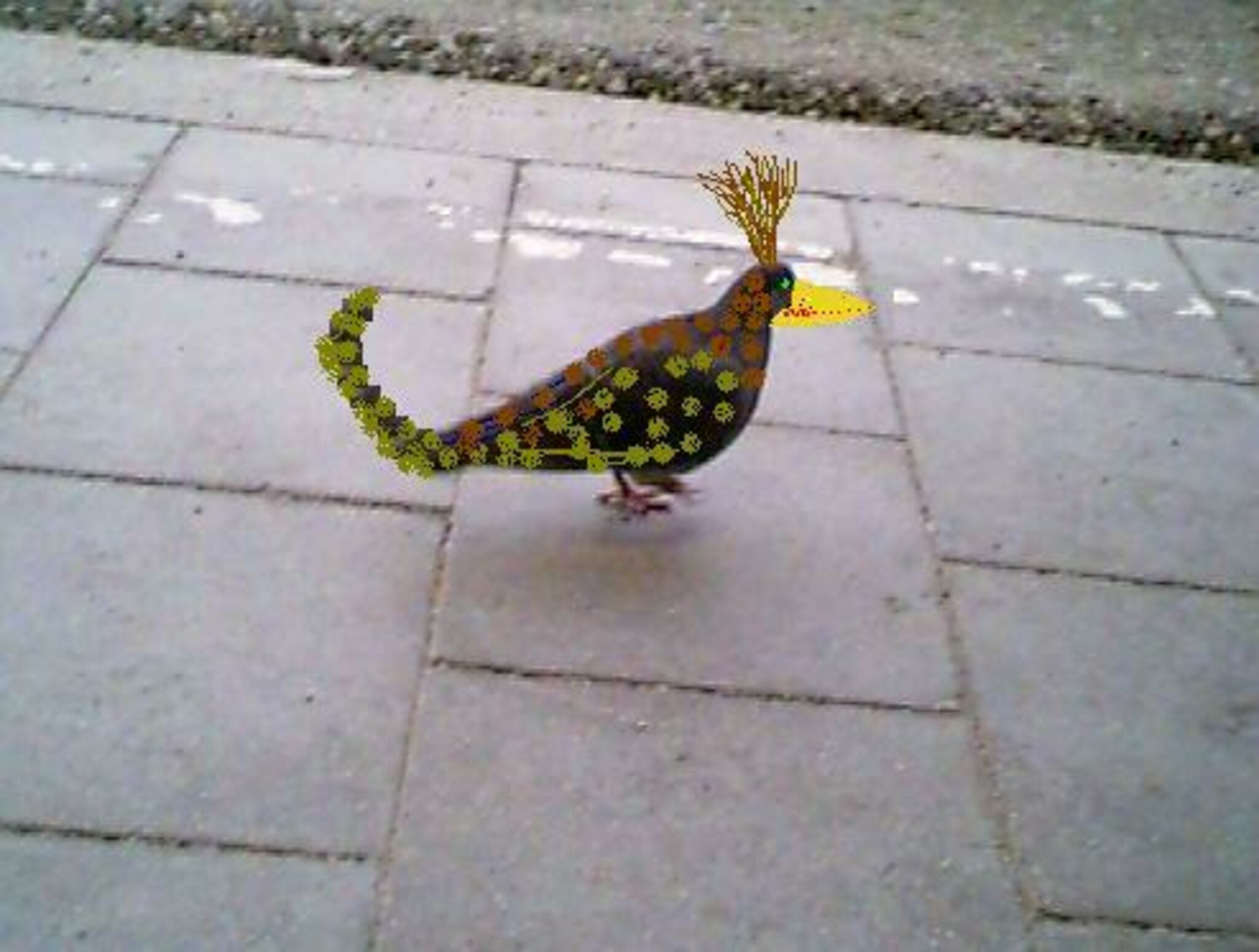 Der Yadsloof Vogel (Rapil ralip)