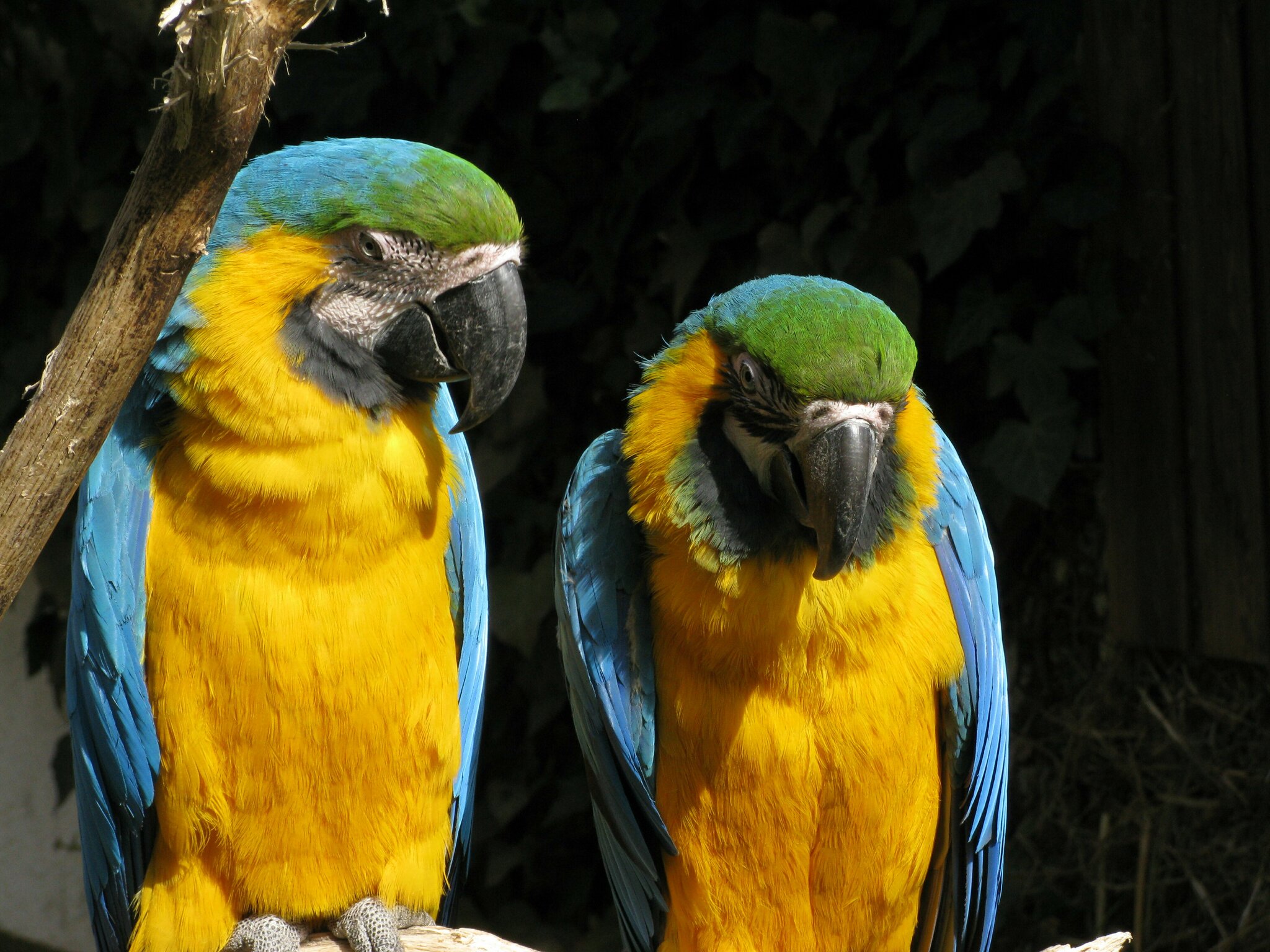 Frühlingserwachen im Vogelpark Uckersdorf