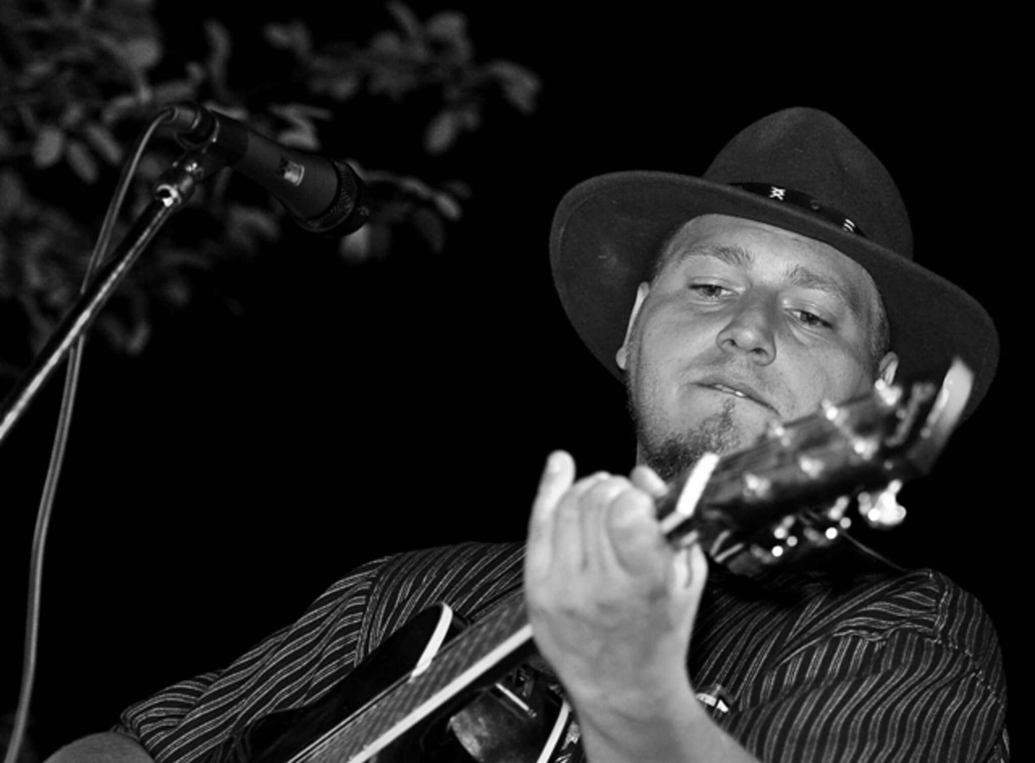Sonntags-Matinee mit Roman Hofbauer