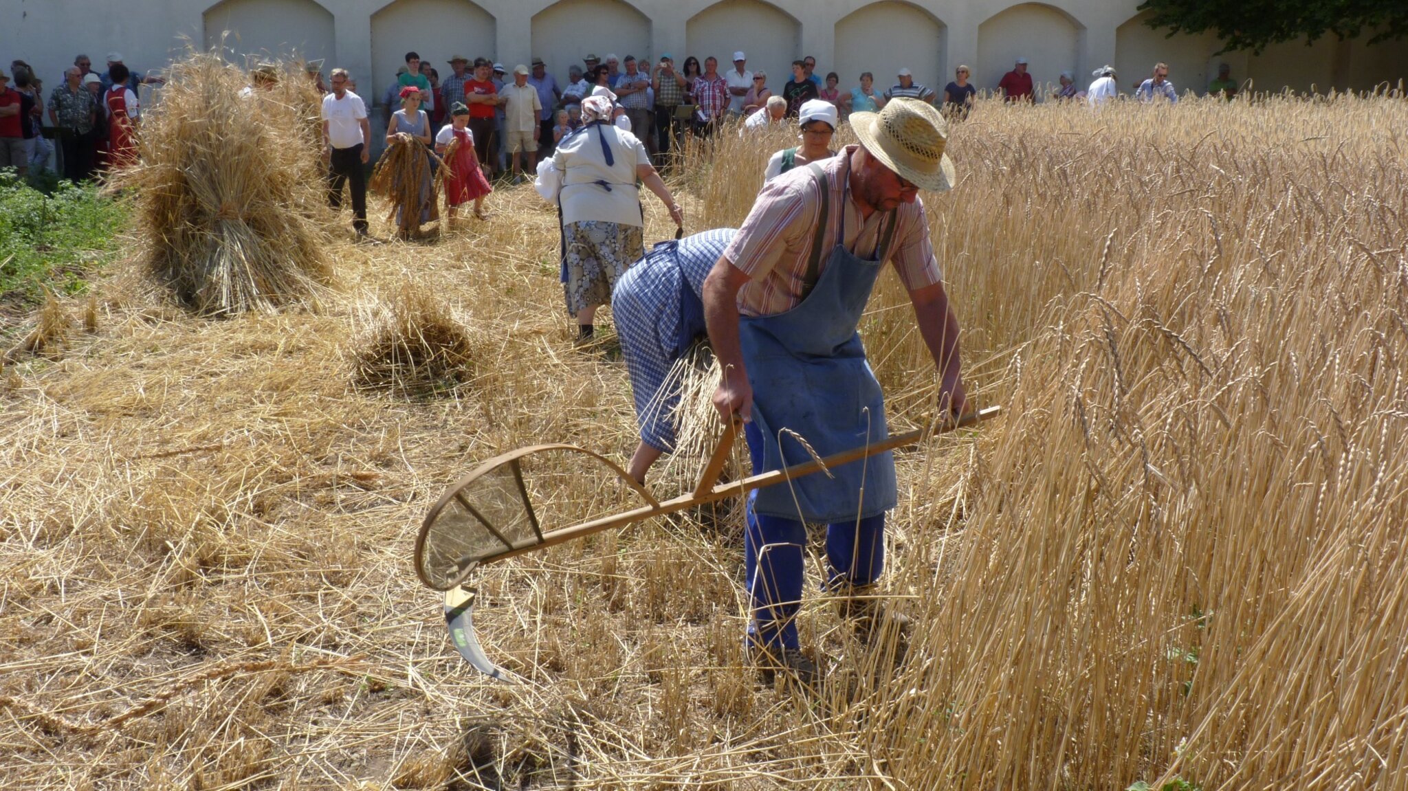 Mit Gaukel und Flegel - Getreideernte wie früher: Schnitterfest im ...