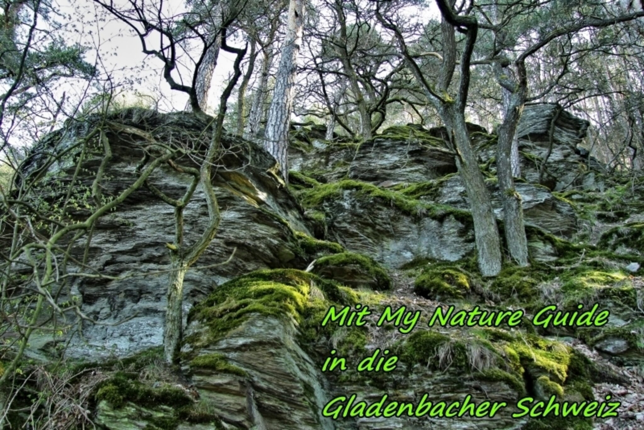 Gladenbacher Schweiz