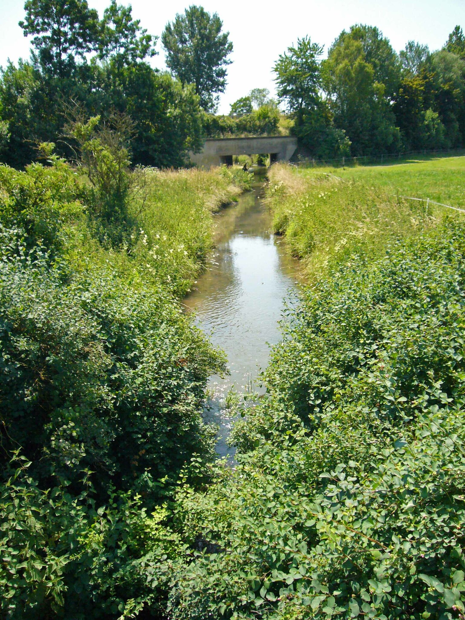 Die Zwester-Ohm bei Hachborn