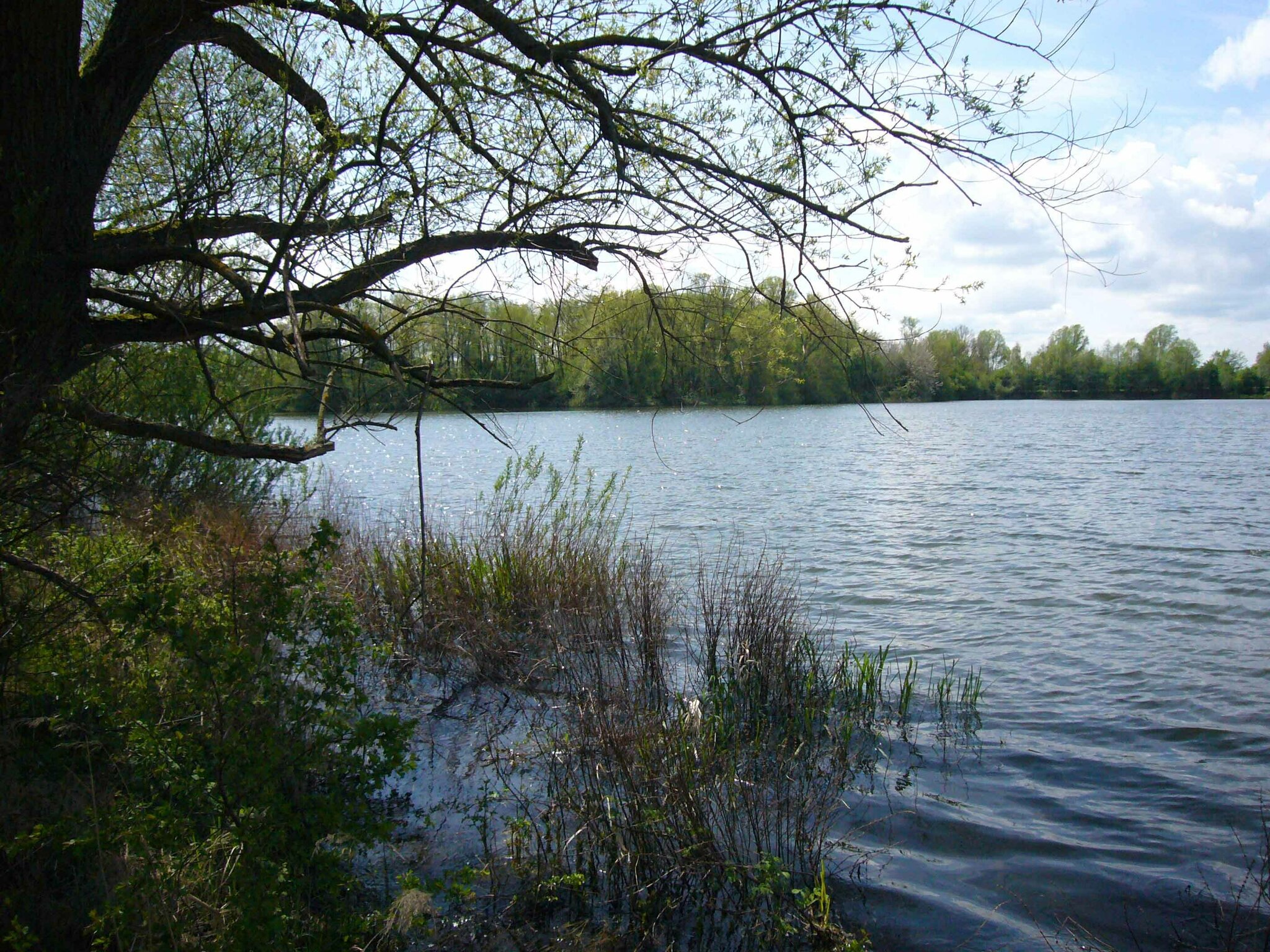 Der Erlensee bei Kirchhain, ein Ort der Ruhe und Entspannung