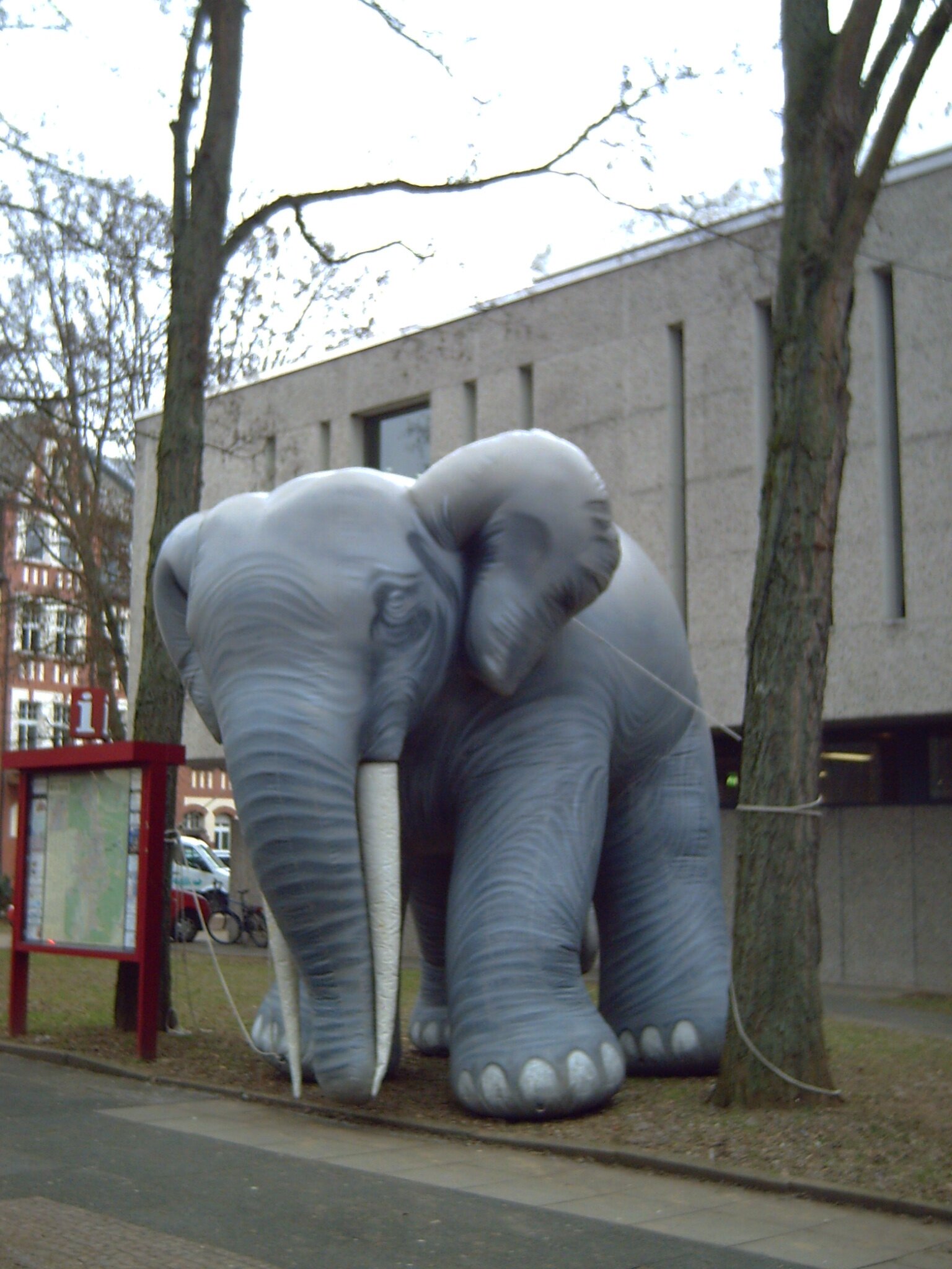 Was macht der Elefant vor der Stadthalle in Marburg an der Lahn.