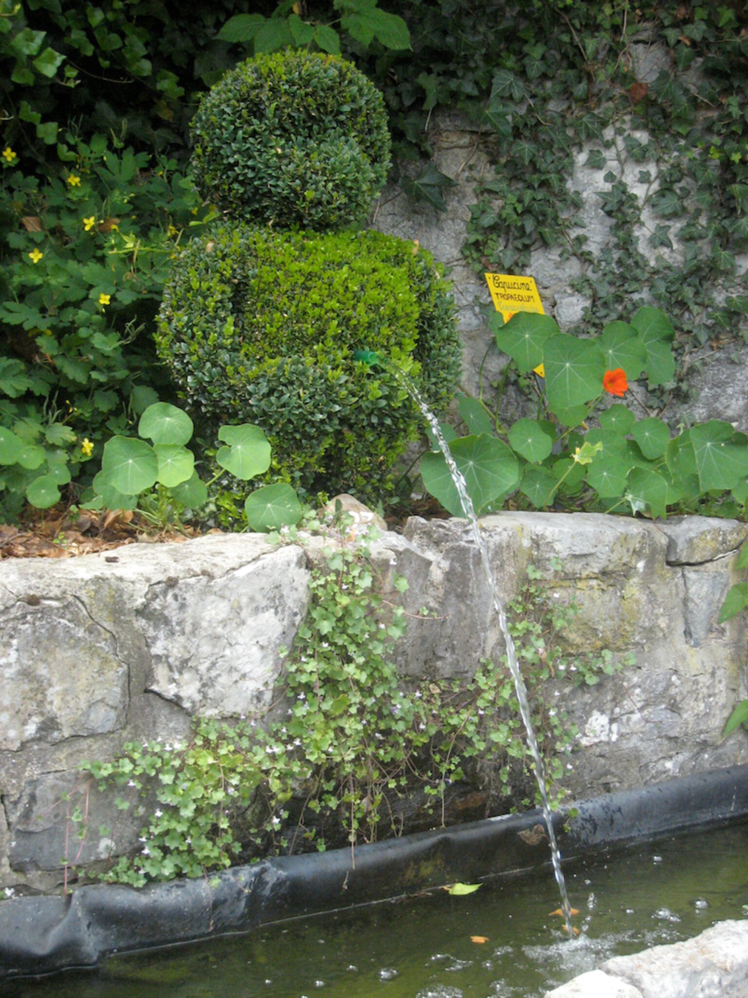 An was erinnert das? Springbrunnen aus Buchsbaum im „Parc des Topiaires ...