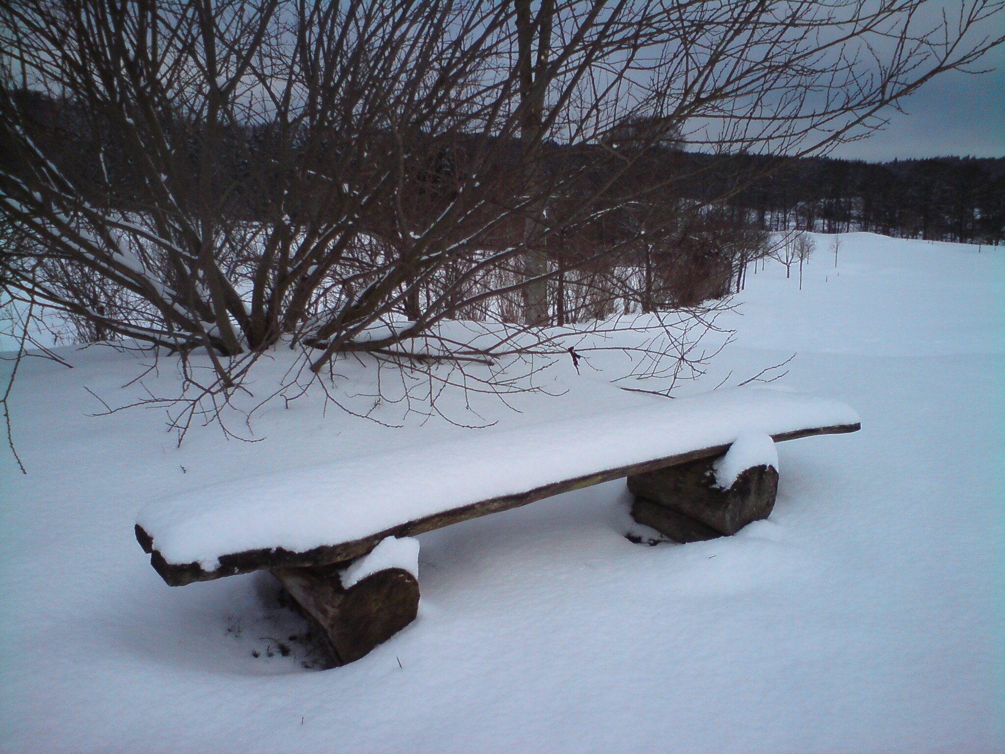 „Trenne dich nie von deinen Illusionen und Träumen. Wenn sie ...