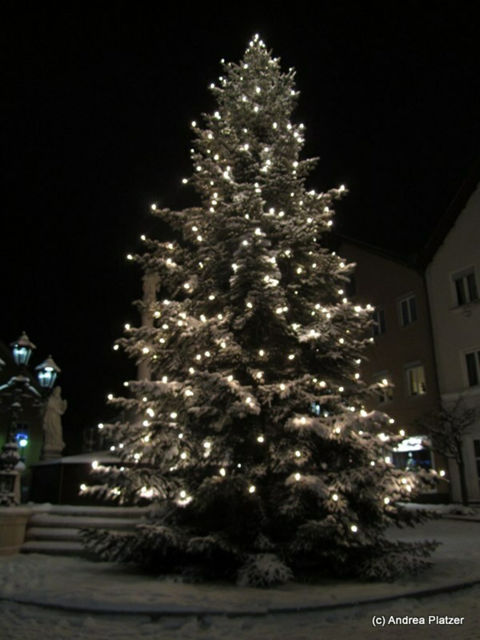 Christbaum am Marienplatz