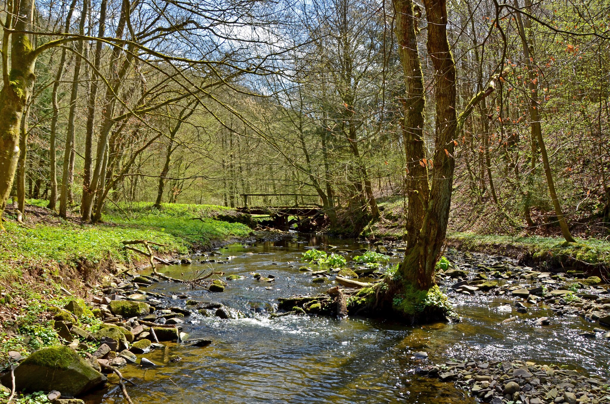 Das schöne Lengeltal bei Frankenau Ellershausen