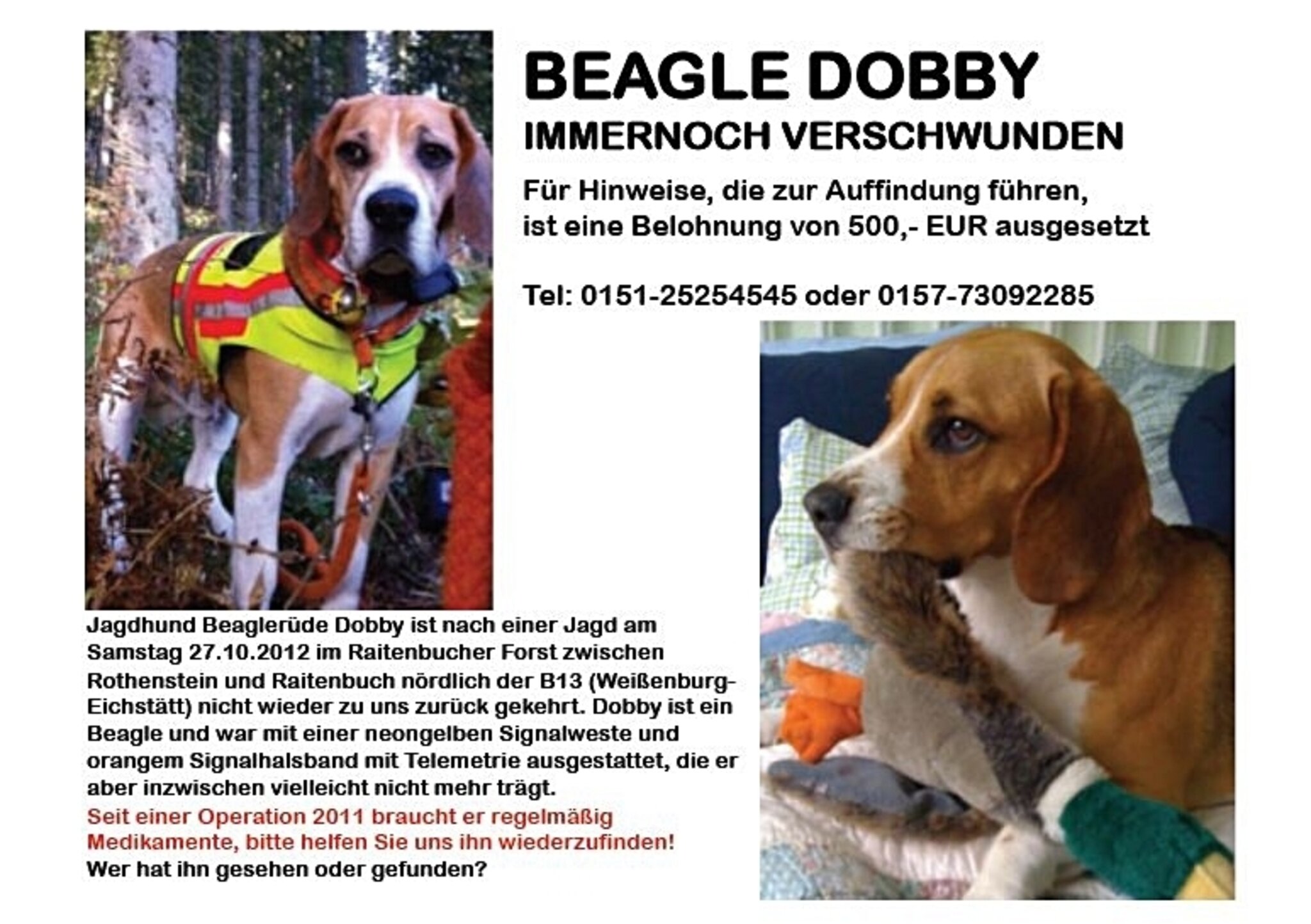 Jagdbeagle vermisst Jagd-Beagle Dobby von Kim Jüstl wird seit einer ...