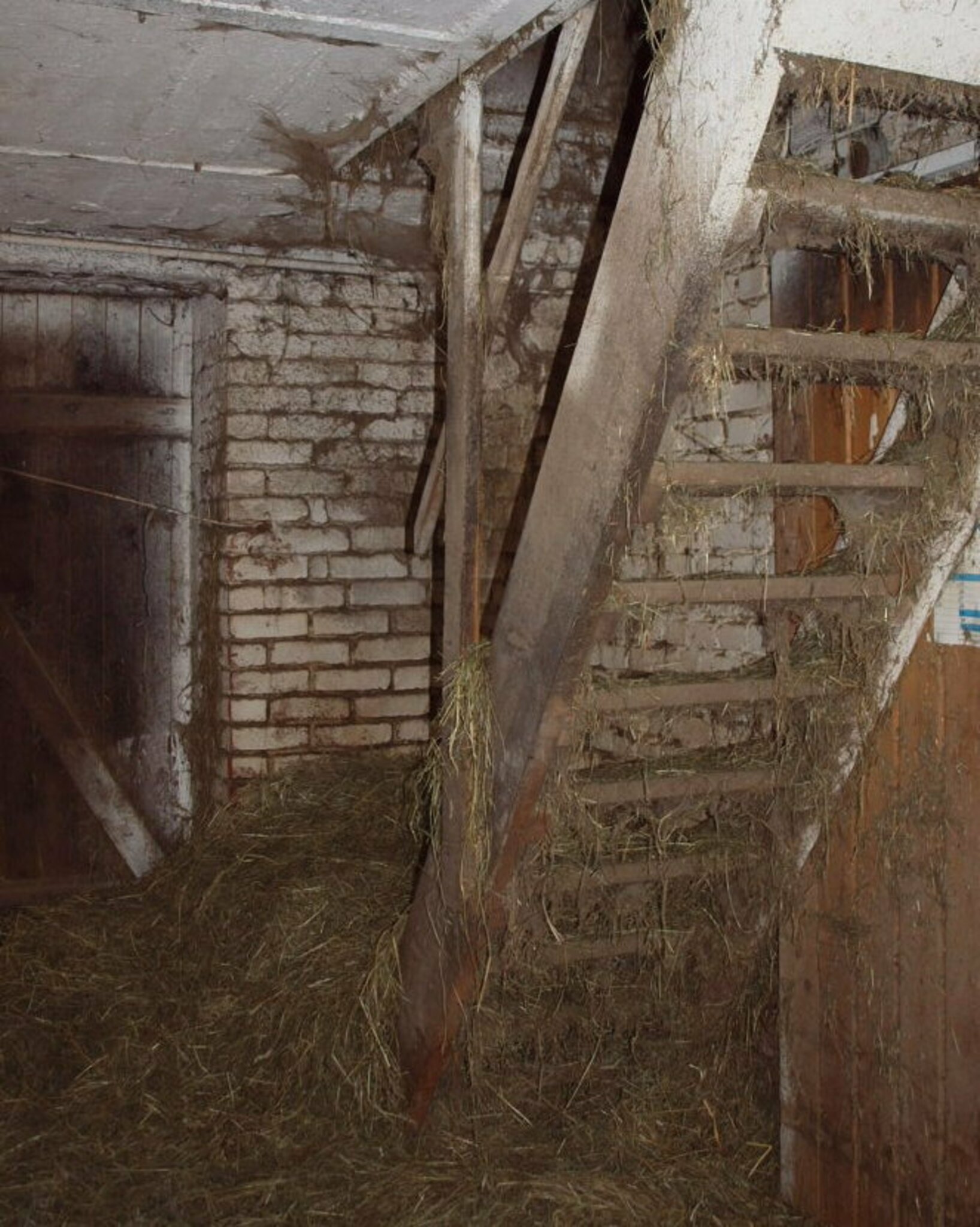 Schnappschuss in der Scheune.