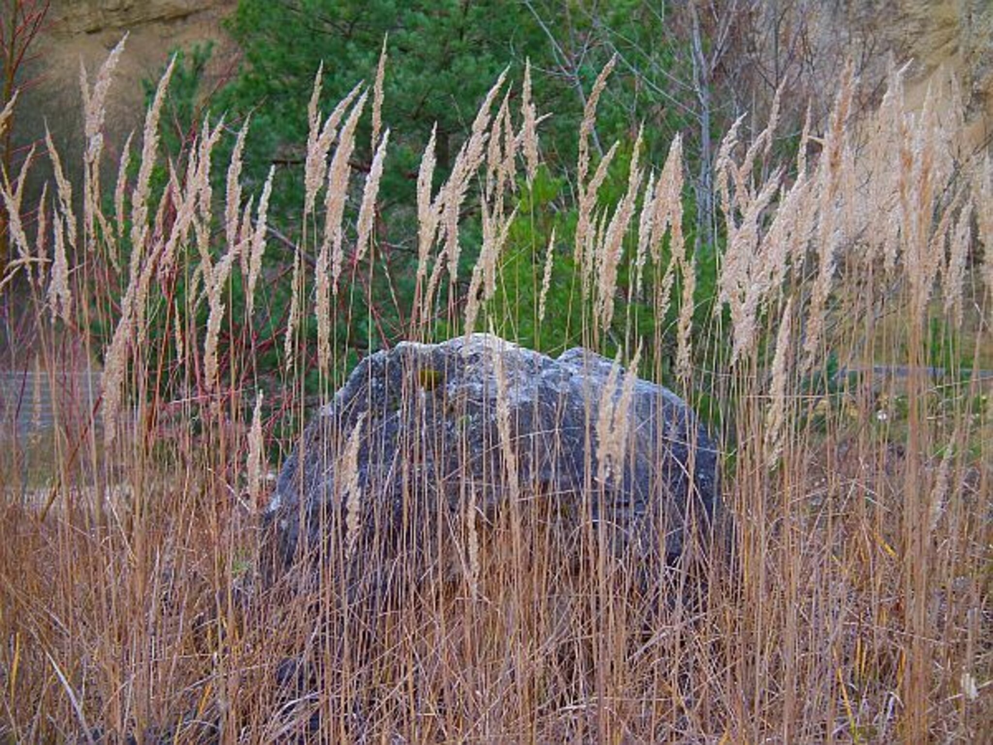 Winterruhe im Erlebnis Geotop "Lindle"