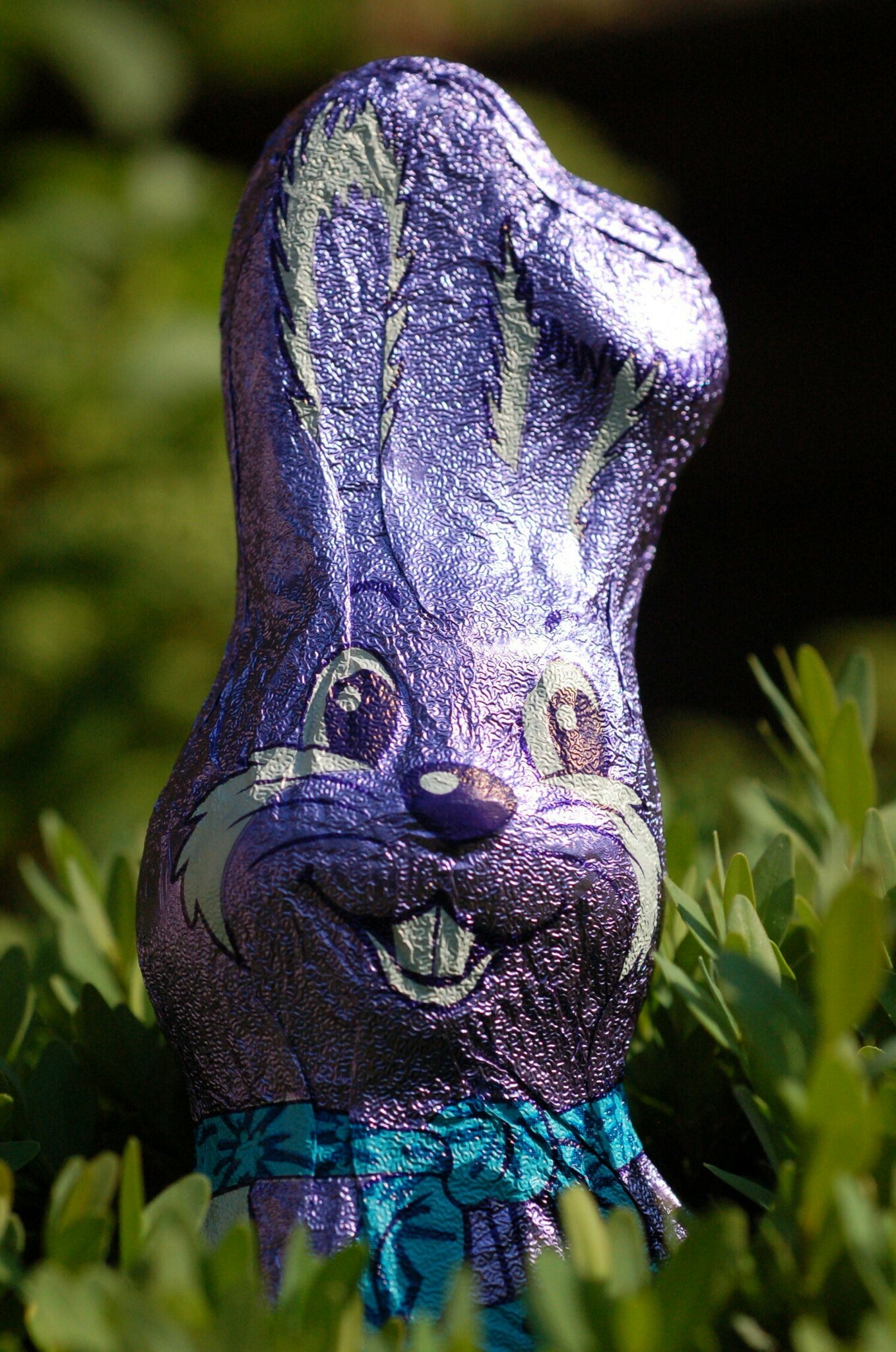 Ciao bis nächstes Jahr...