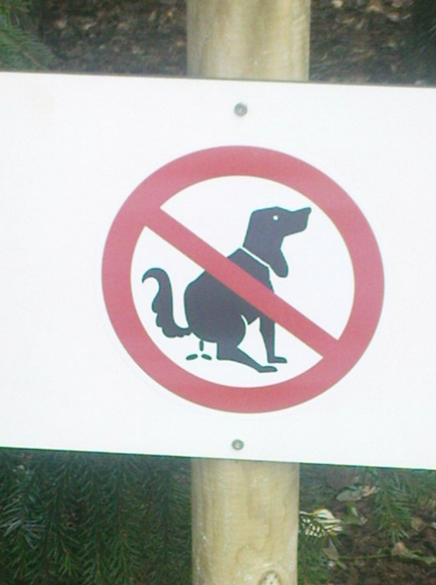 Die Neuen Verbotsschilder.