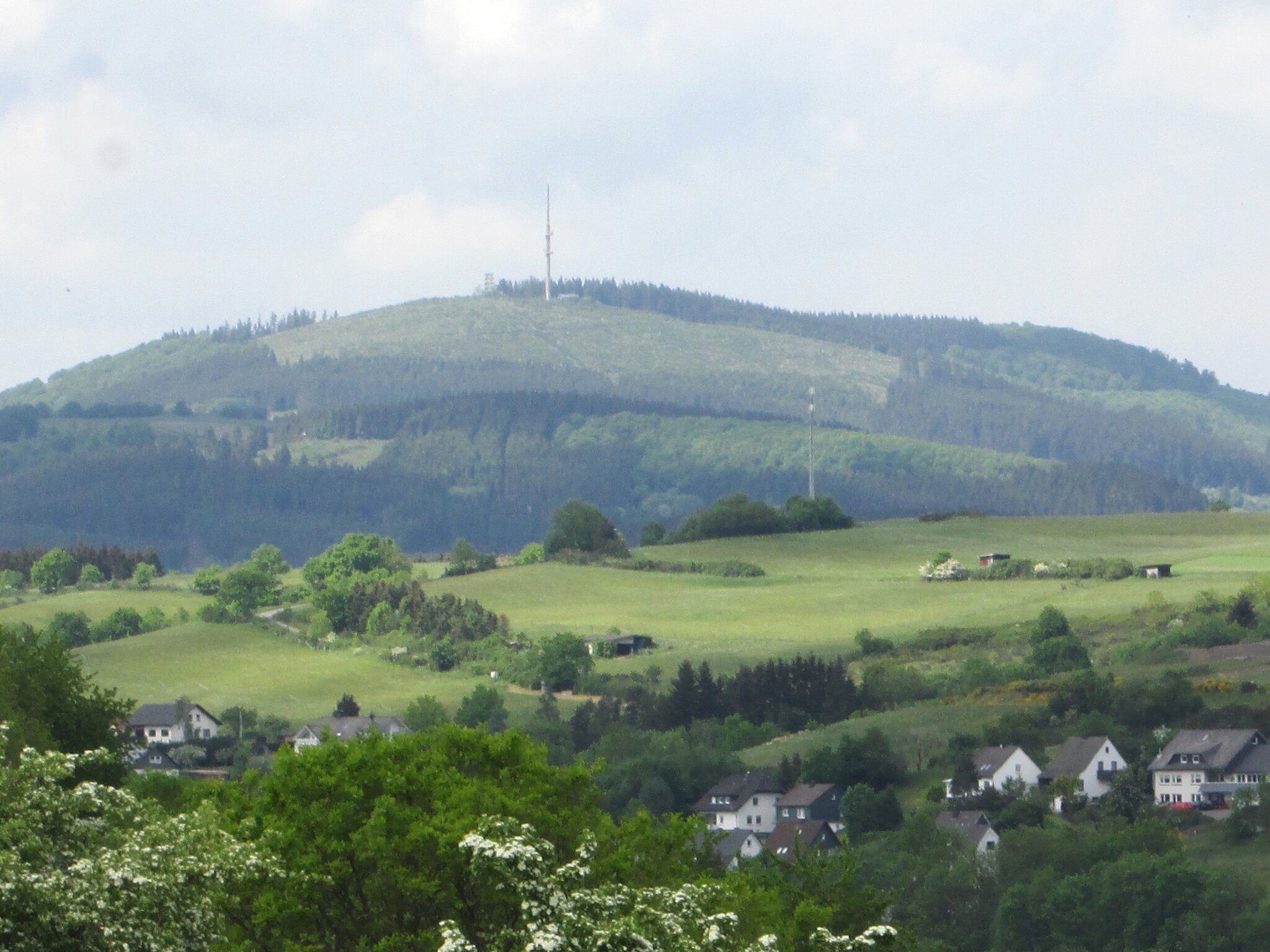 Der Bollerberg oberhalb von Hallenberg (Sauerland).