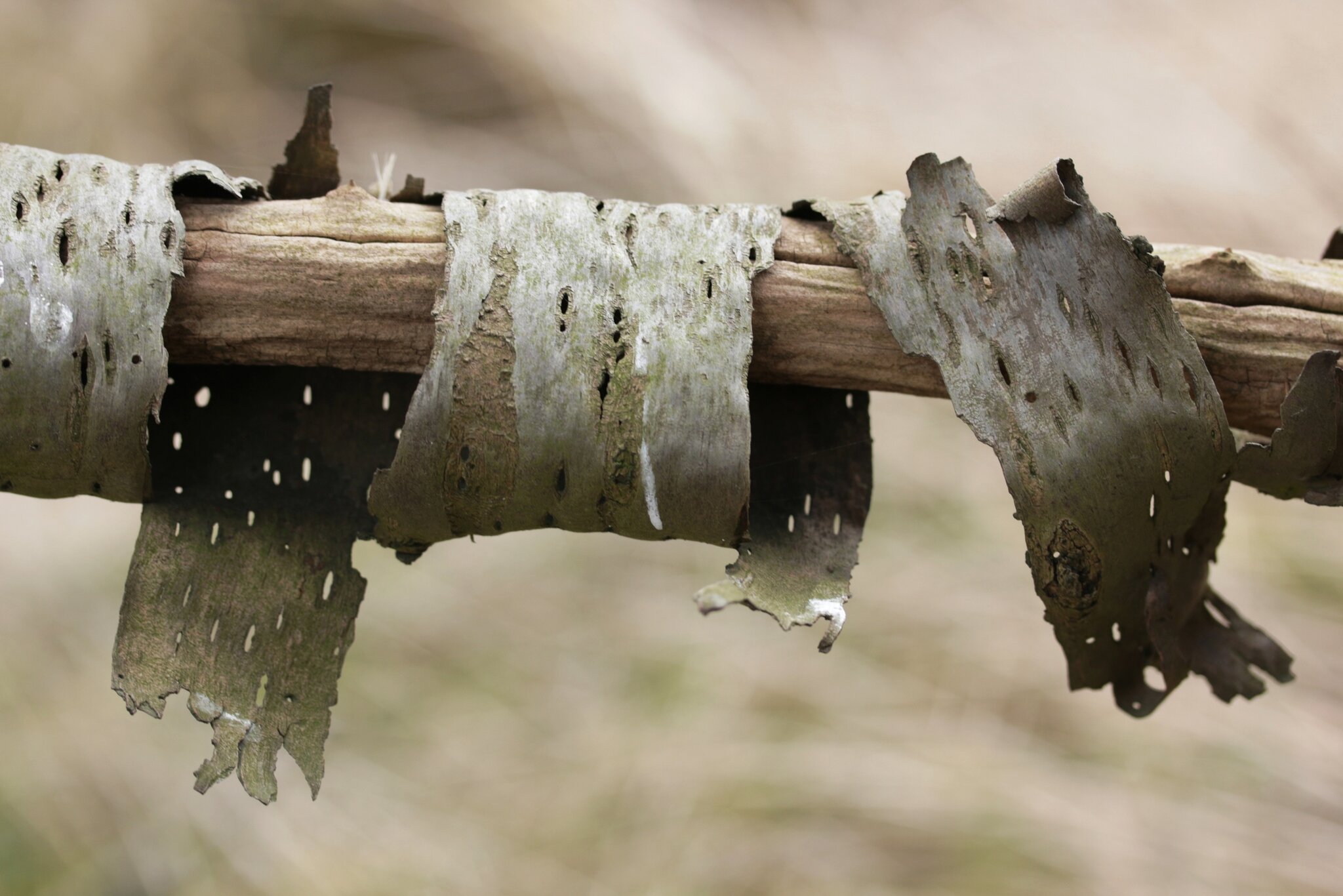 Und wenn du das Gefühl hast, dass gerade alles auseinanderzufallen ...