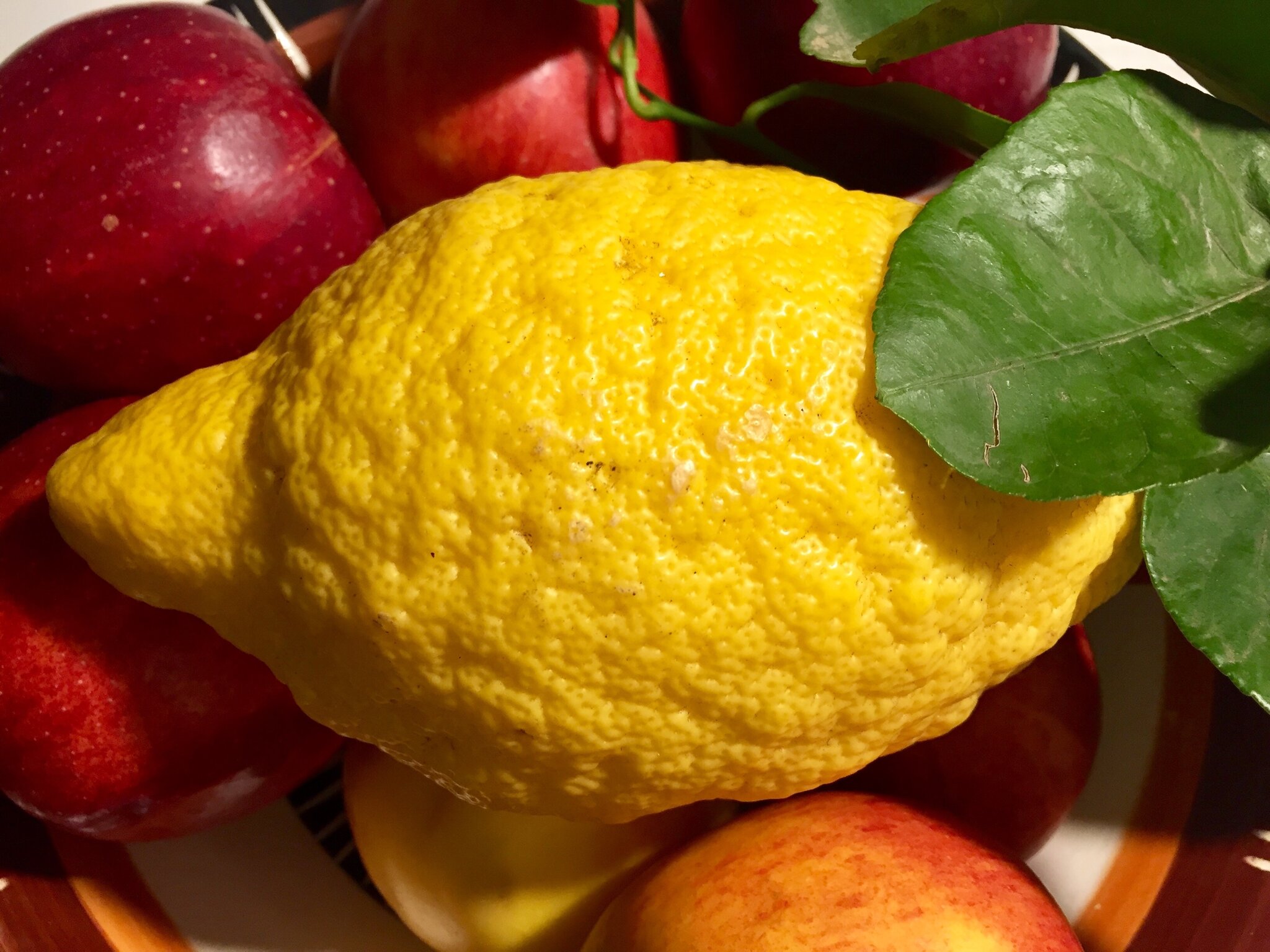 CEDRO, Zitronat-Zitrone, Esszitrone...