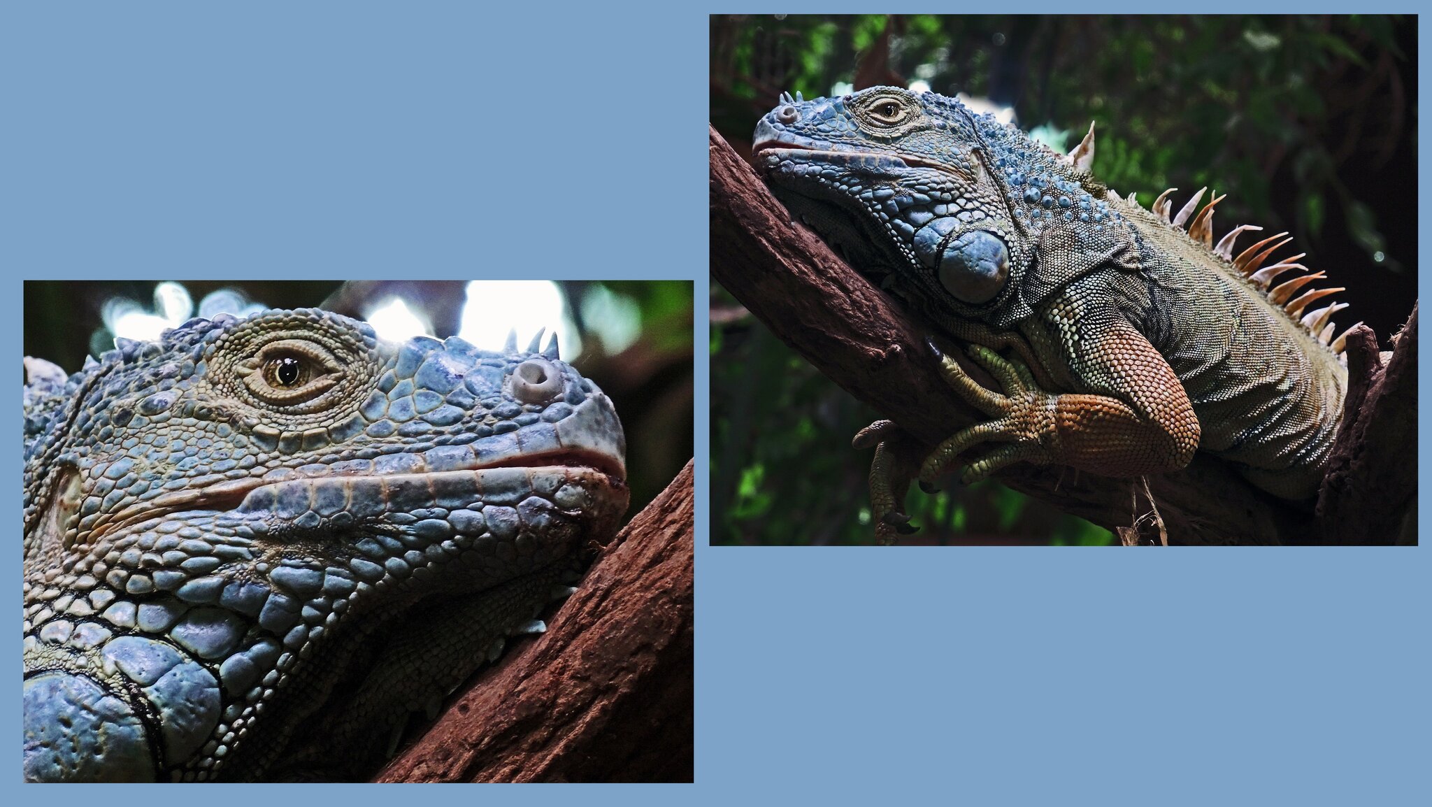 Außen hart,- aber innen weich ................