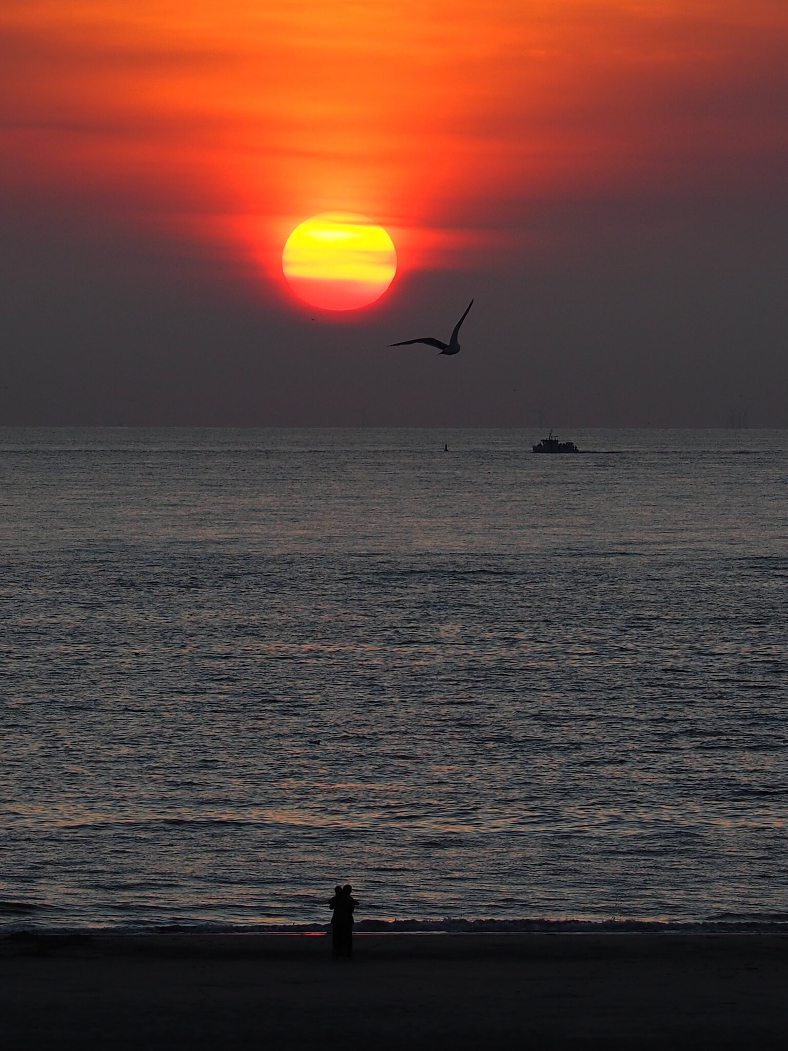 Schmusebutz mit Schiff, Vogel und Sundowner