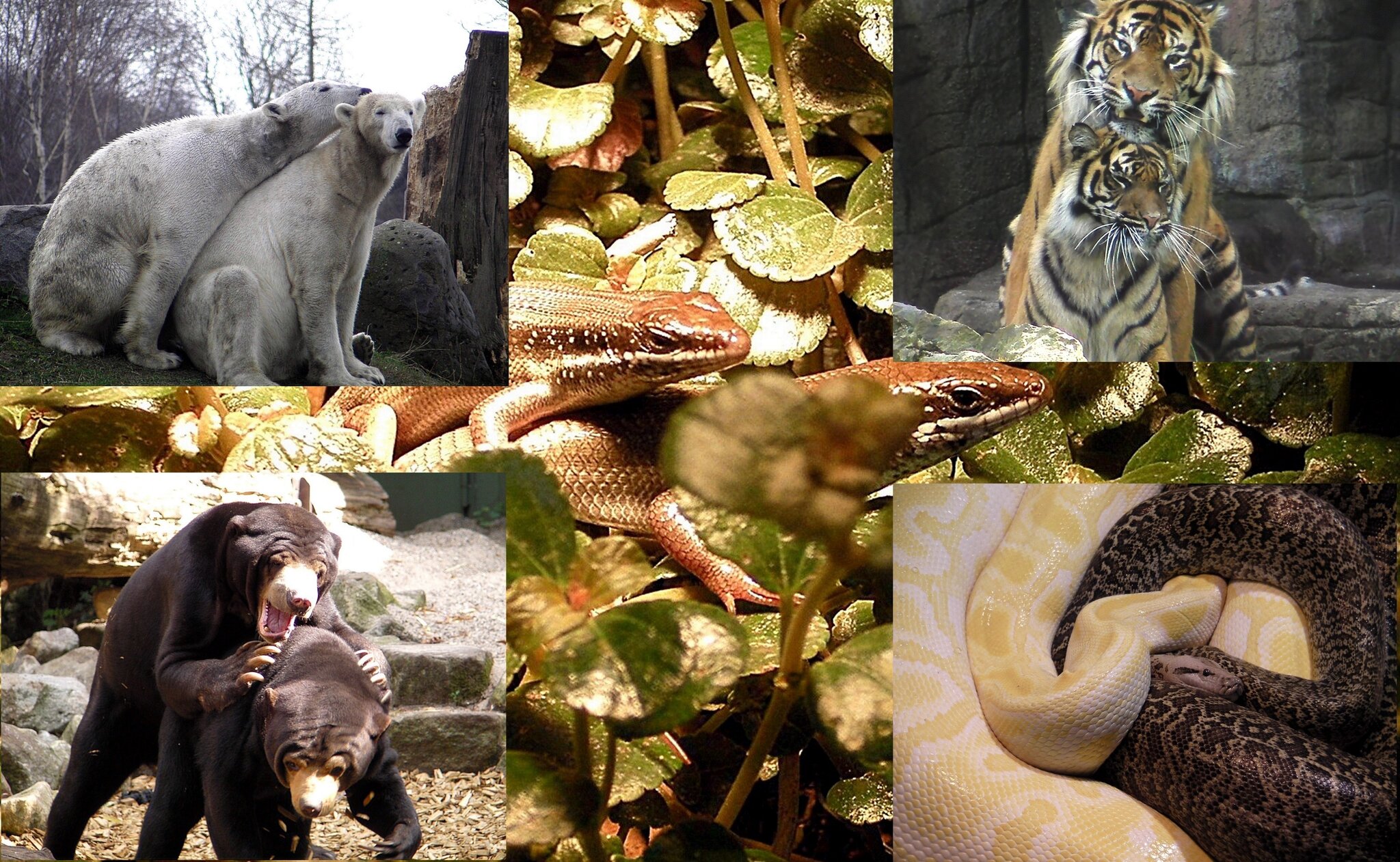 Ist das hier alles noch jugendfrei?