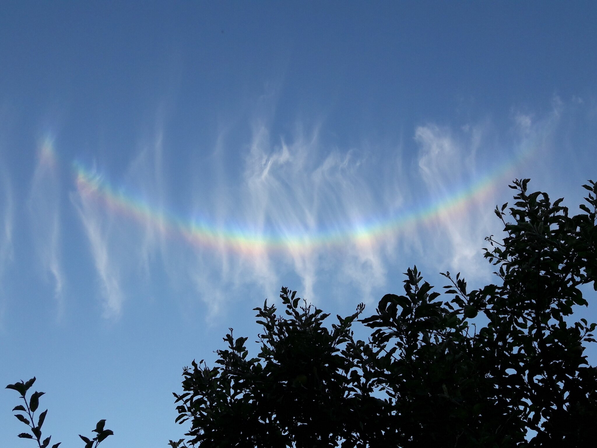 Eine ungewöhnliche Erscheinung am Himmel