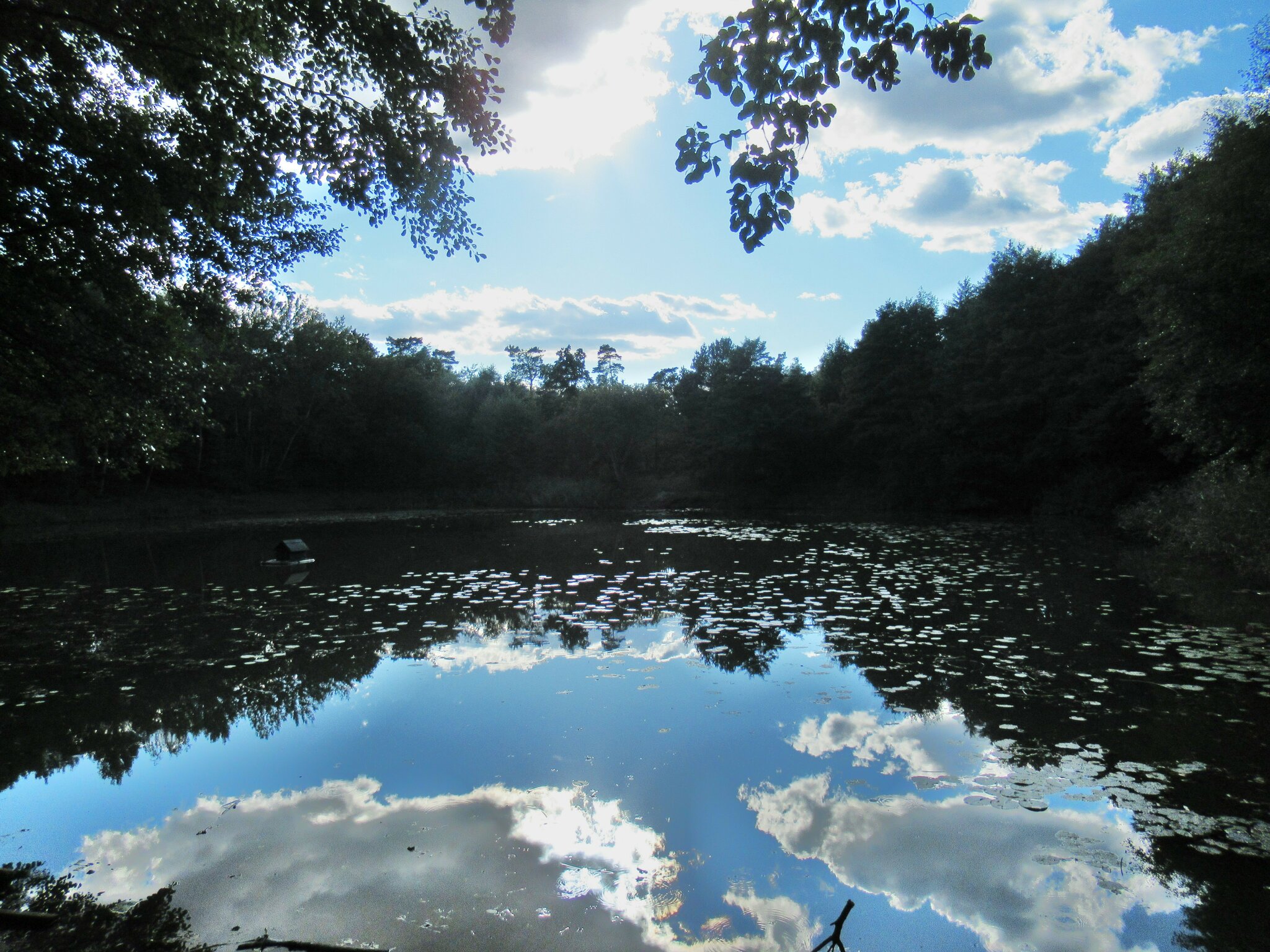 Horster See