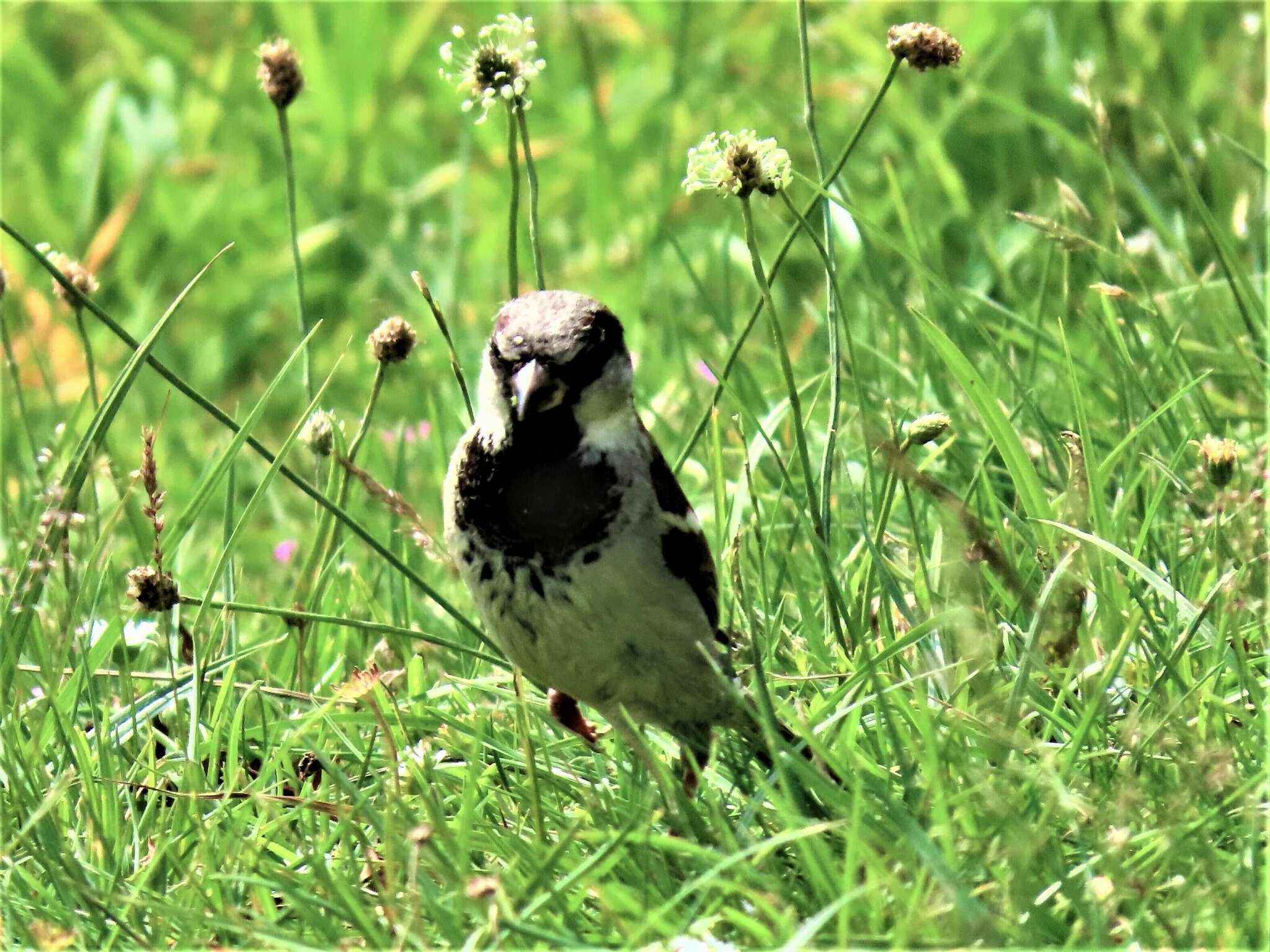 Einmal Füße vertreten bitte