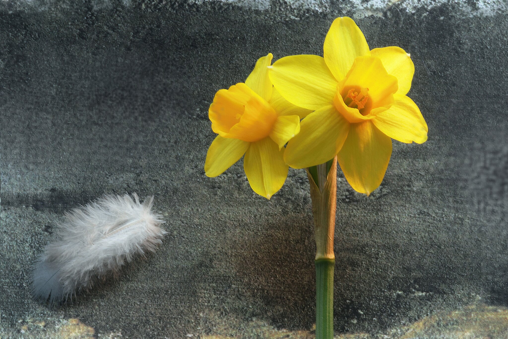 "Ein jubelndes Entzücken mich immer mehr erfüllt: was Glück ist - was ...