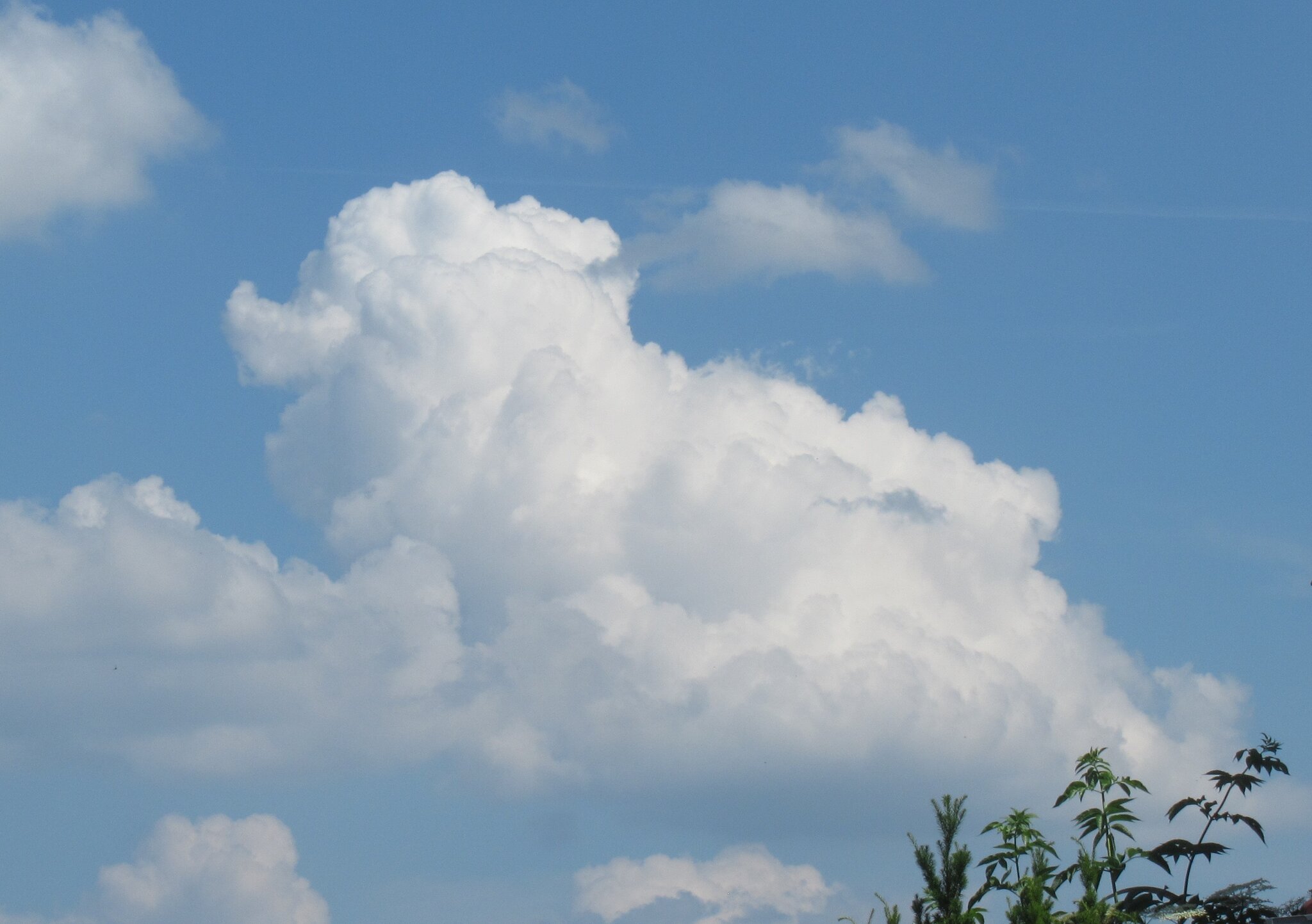 Diese fröhliche Wolke und ich ...