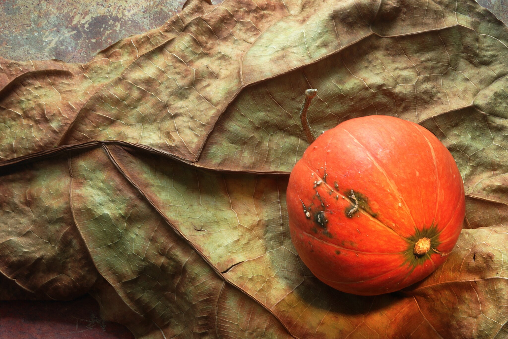 "Wenn etwas kleiner ist als das Größte, so ist es darum noch lange ...